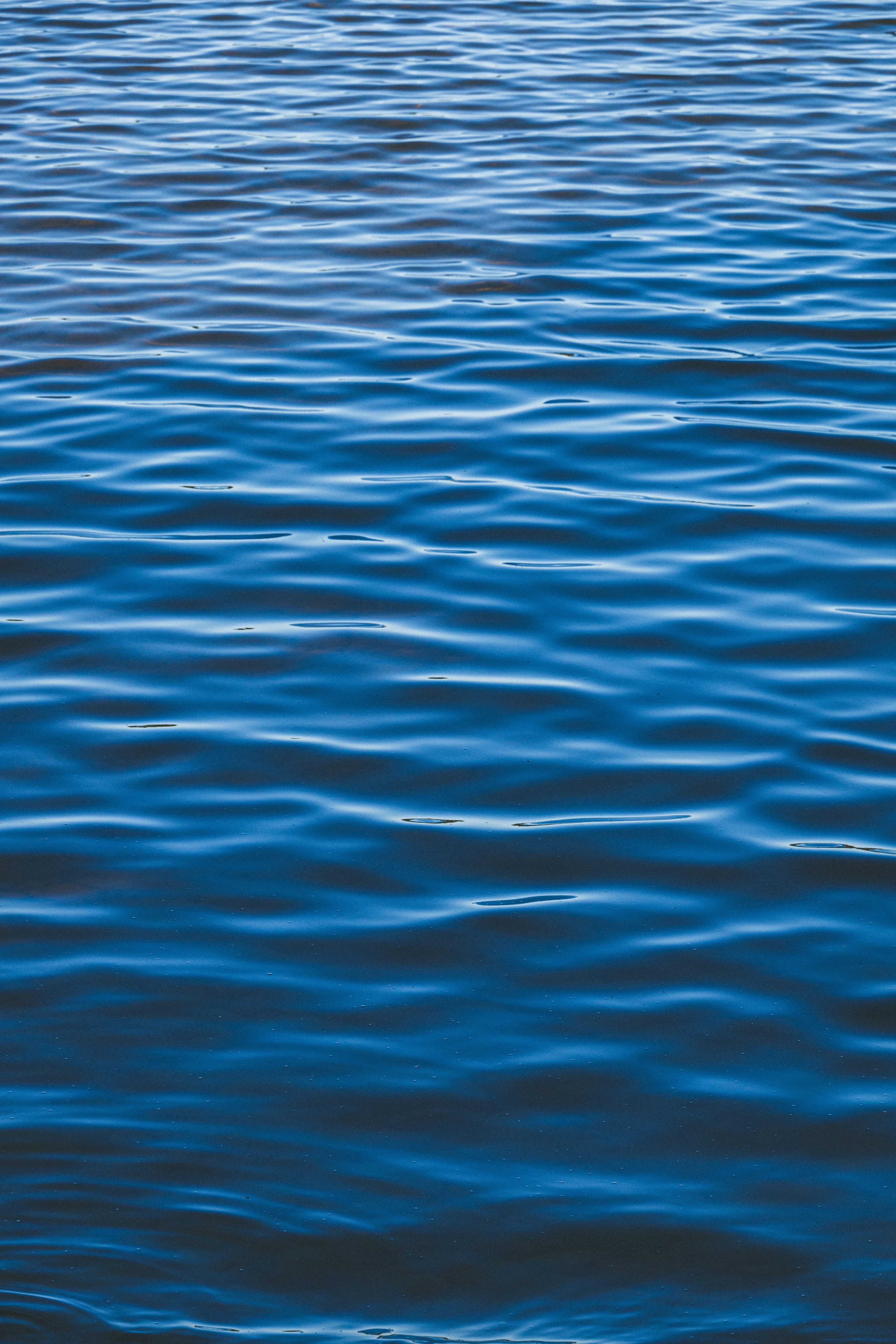 Gentle waves create a mesmerizing pattern on the surface of a tranquil blue water body.