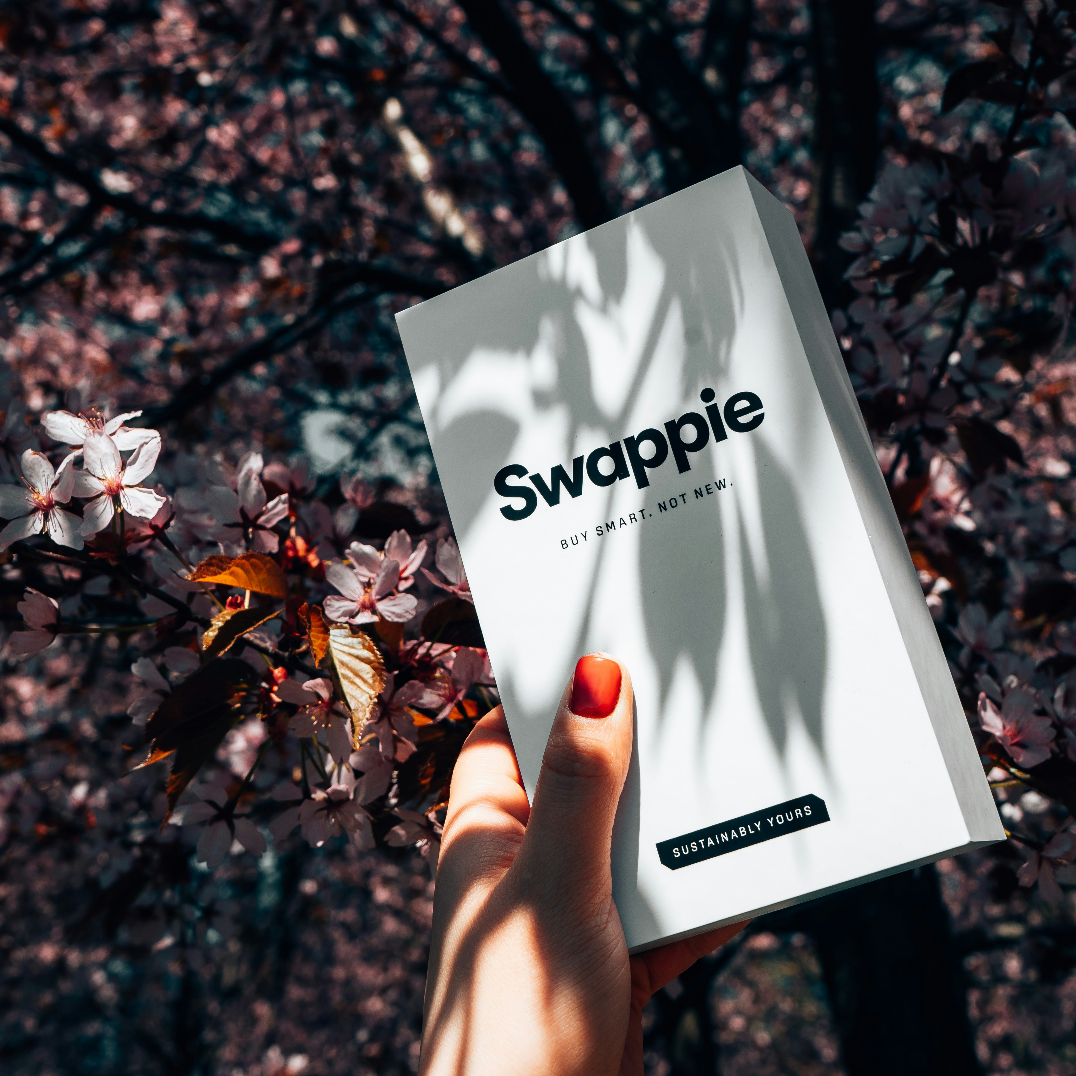 Swappie in Bloom: Handheld Box Framed by Cherry Blossoms