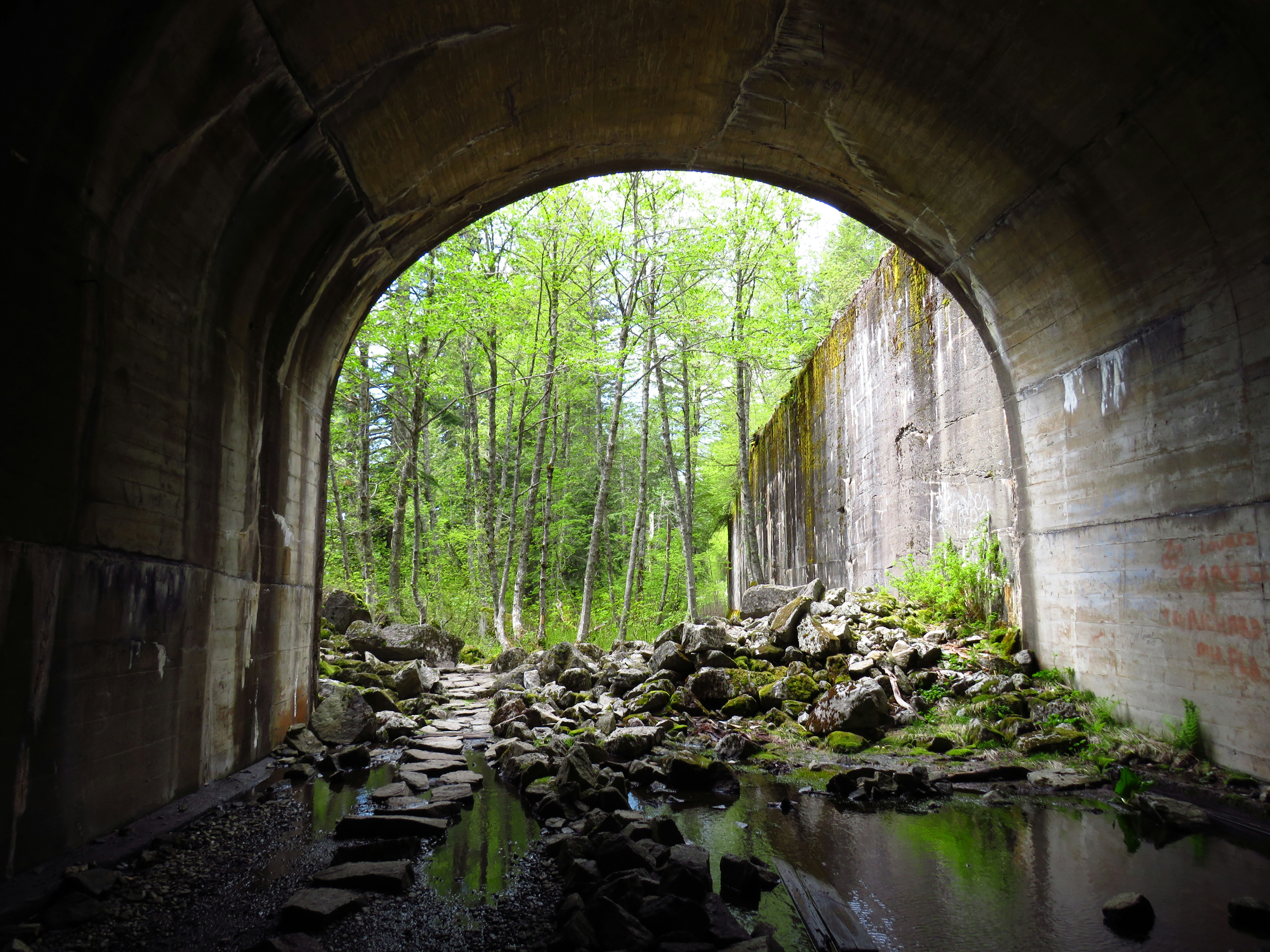 A serene view from within a concrete tunnel, revealing lush greenery and rocky terrain outside. The contrast between the man-made structure and the vibrant natural surroundings creates a unique visual narrative.
