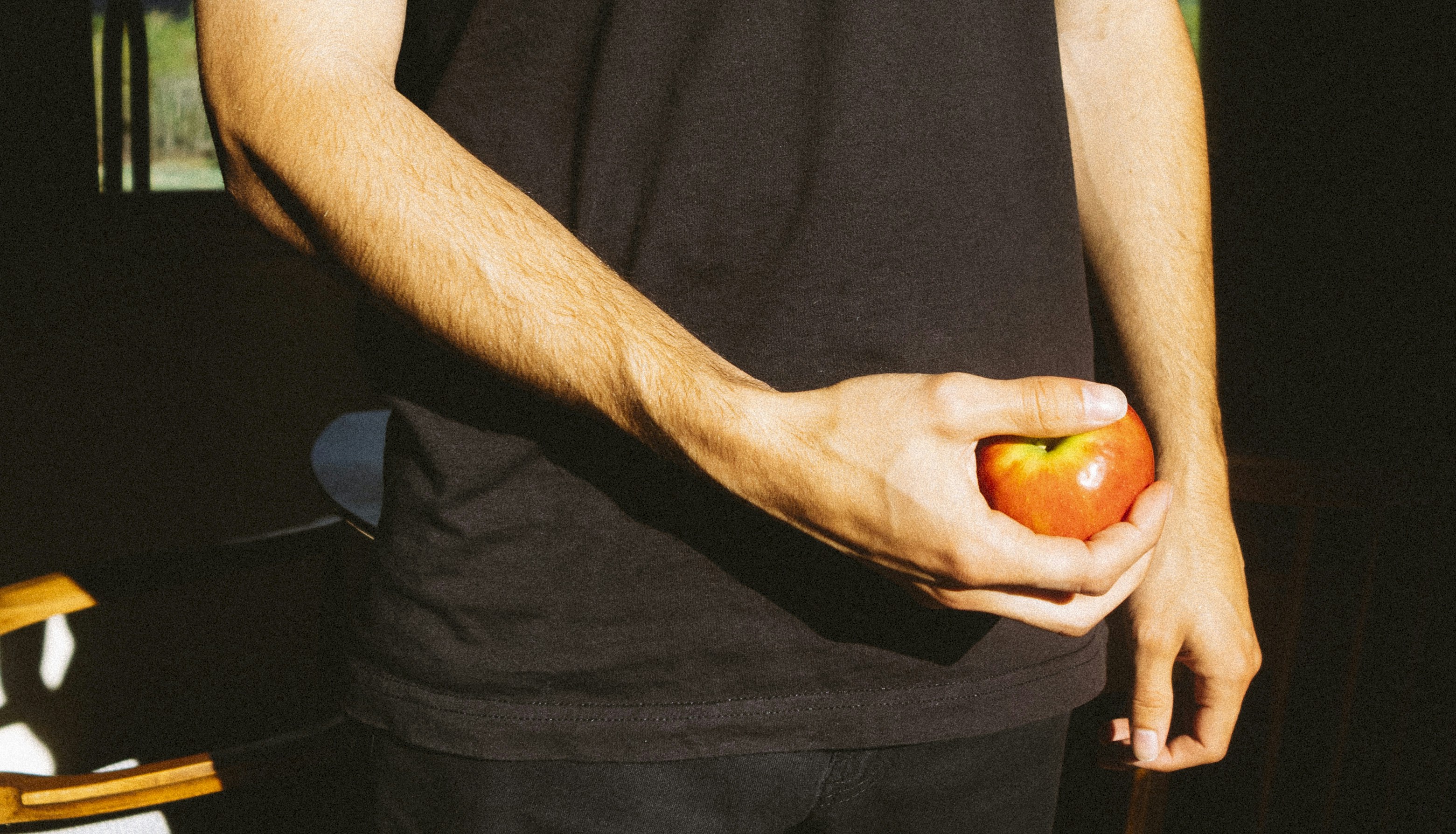 Hand holding a red apple, illuminated by natural light, creating a warm and inviting atmosphere.