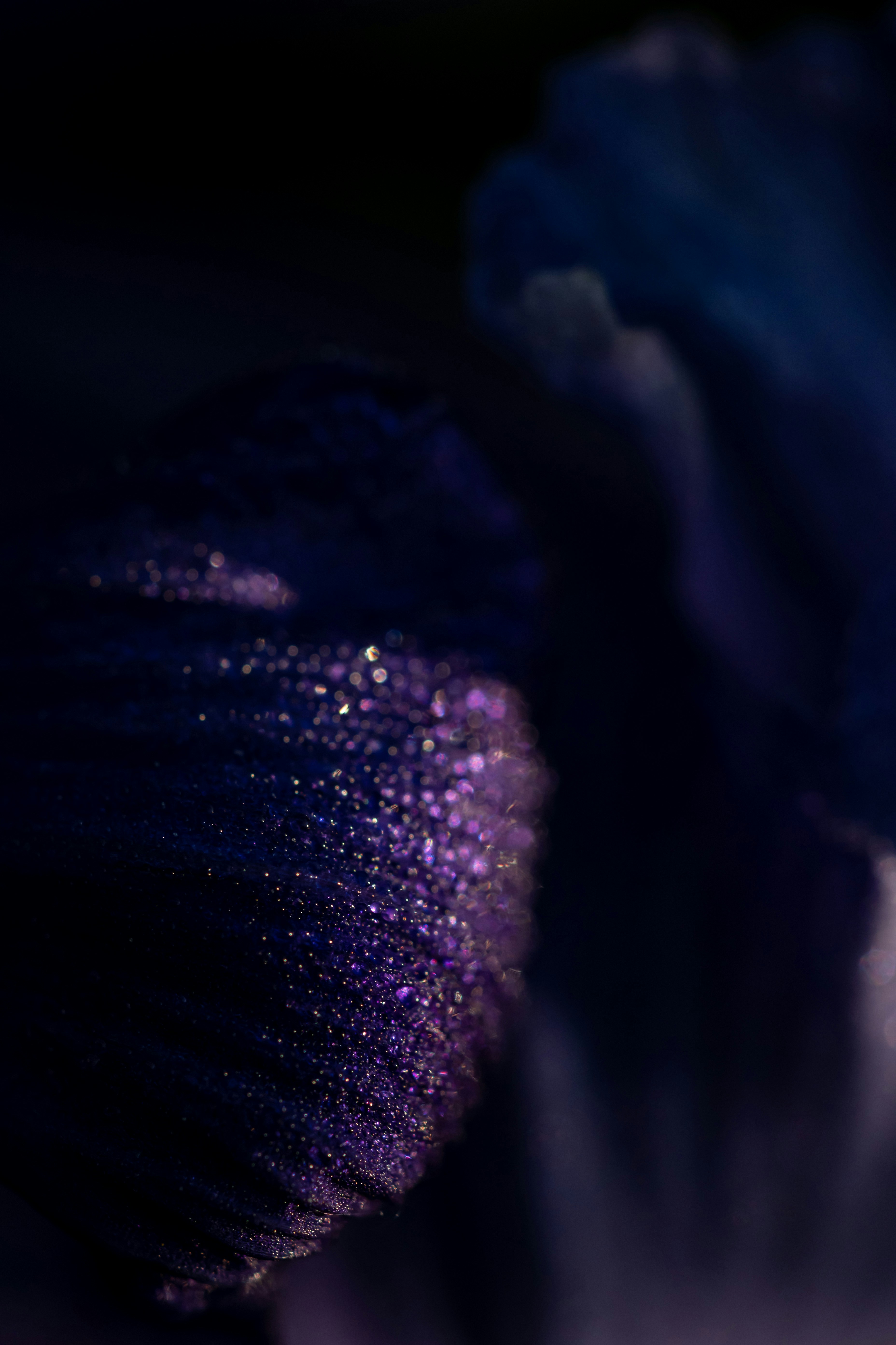Close-up photograph of a dark purple surface with iridescent glitter along a curved edge.