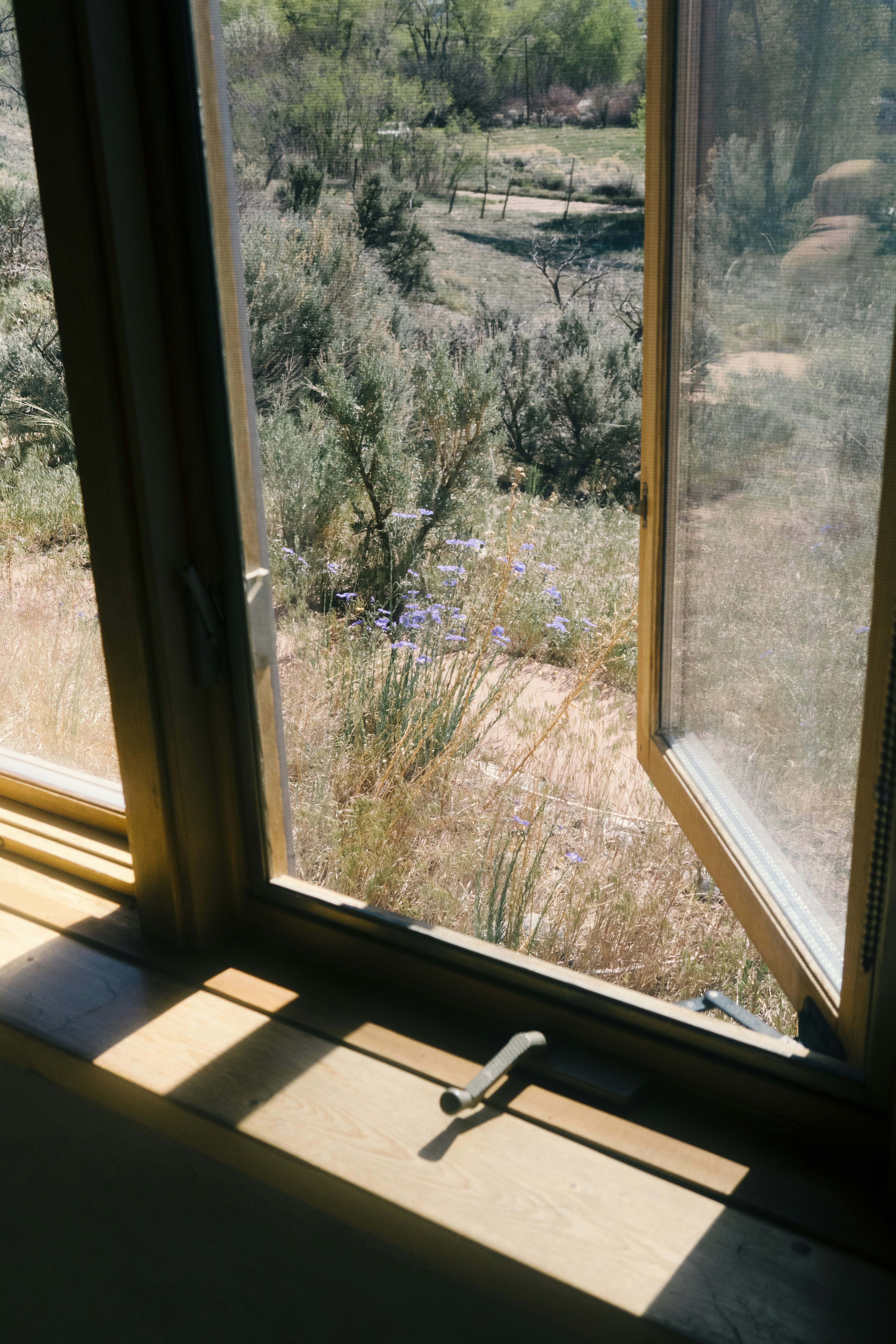 Open-window photograph capturing a sunlit, dry garden with purple wildflowers seen beyond a wooden windowsill.