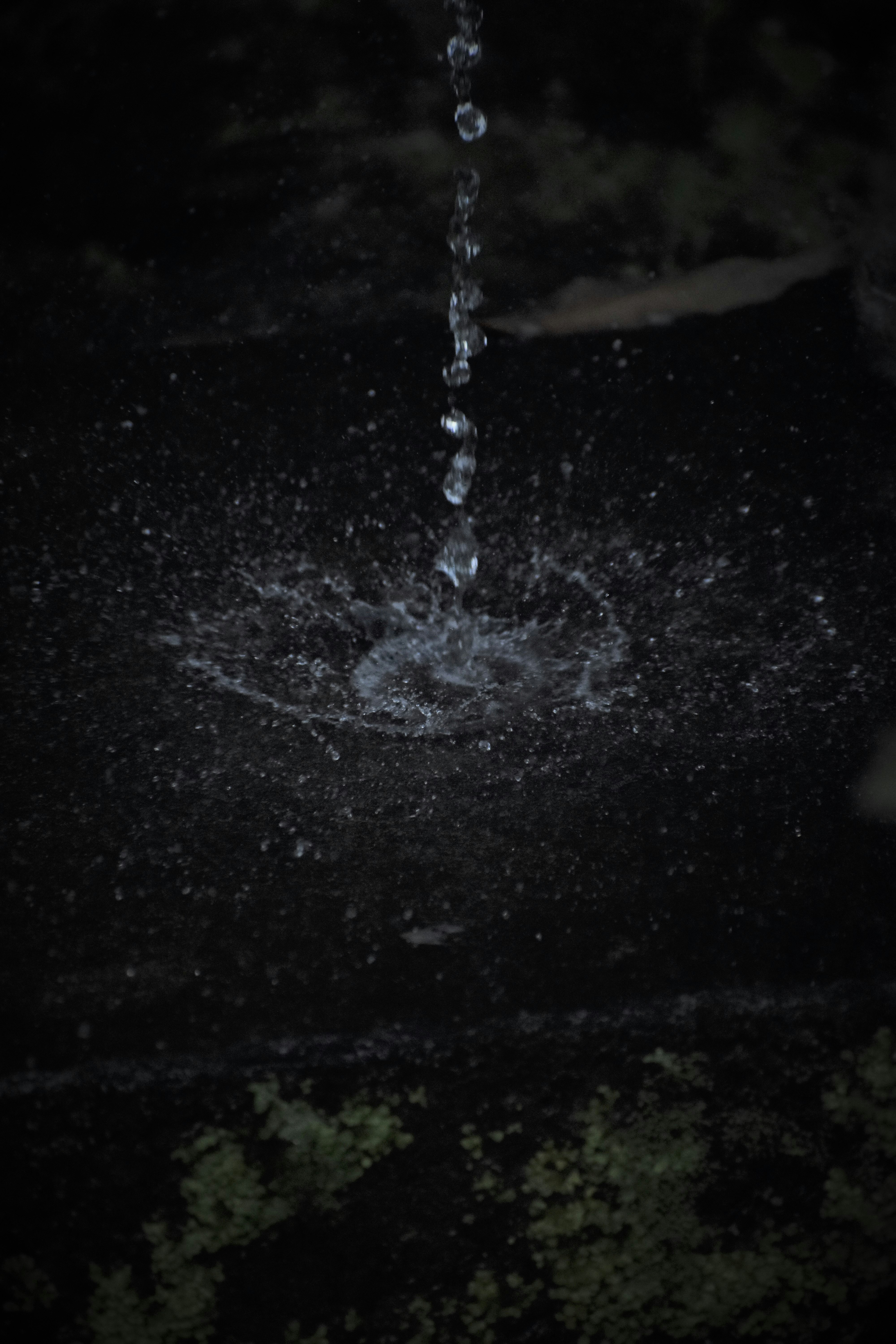 A Night Splash: Vertical Water Ring Echoes from a Dark Surface