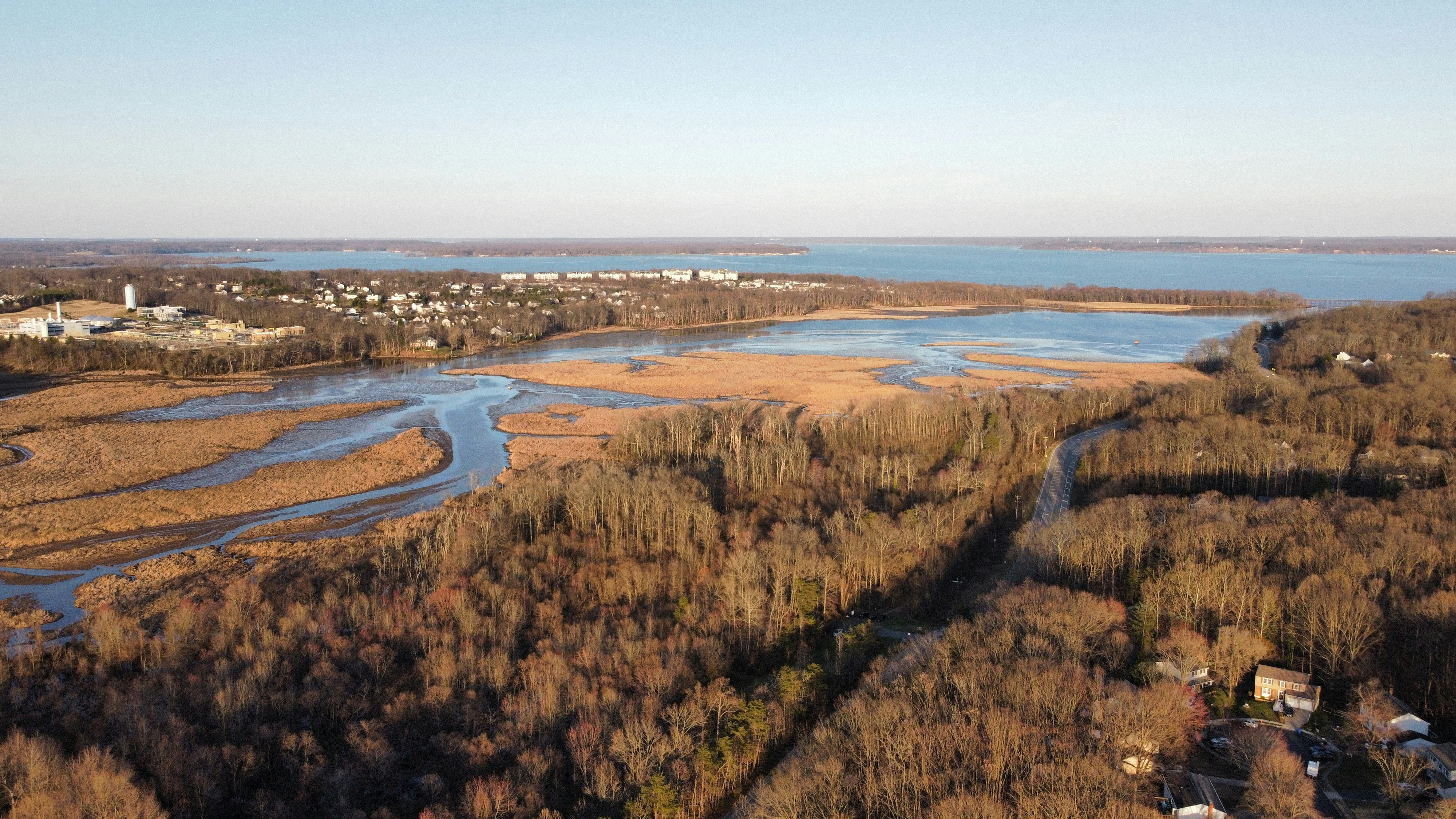 Aerial view showcasing a tranquil landscape where a river meanders through a wooded area, revealing patches of golden marshland. The horizon features a distant town by the water's edge.