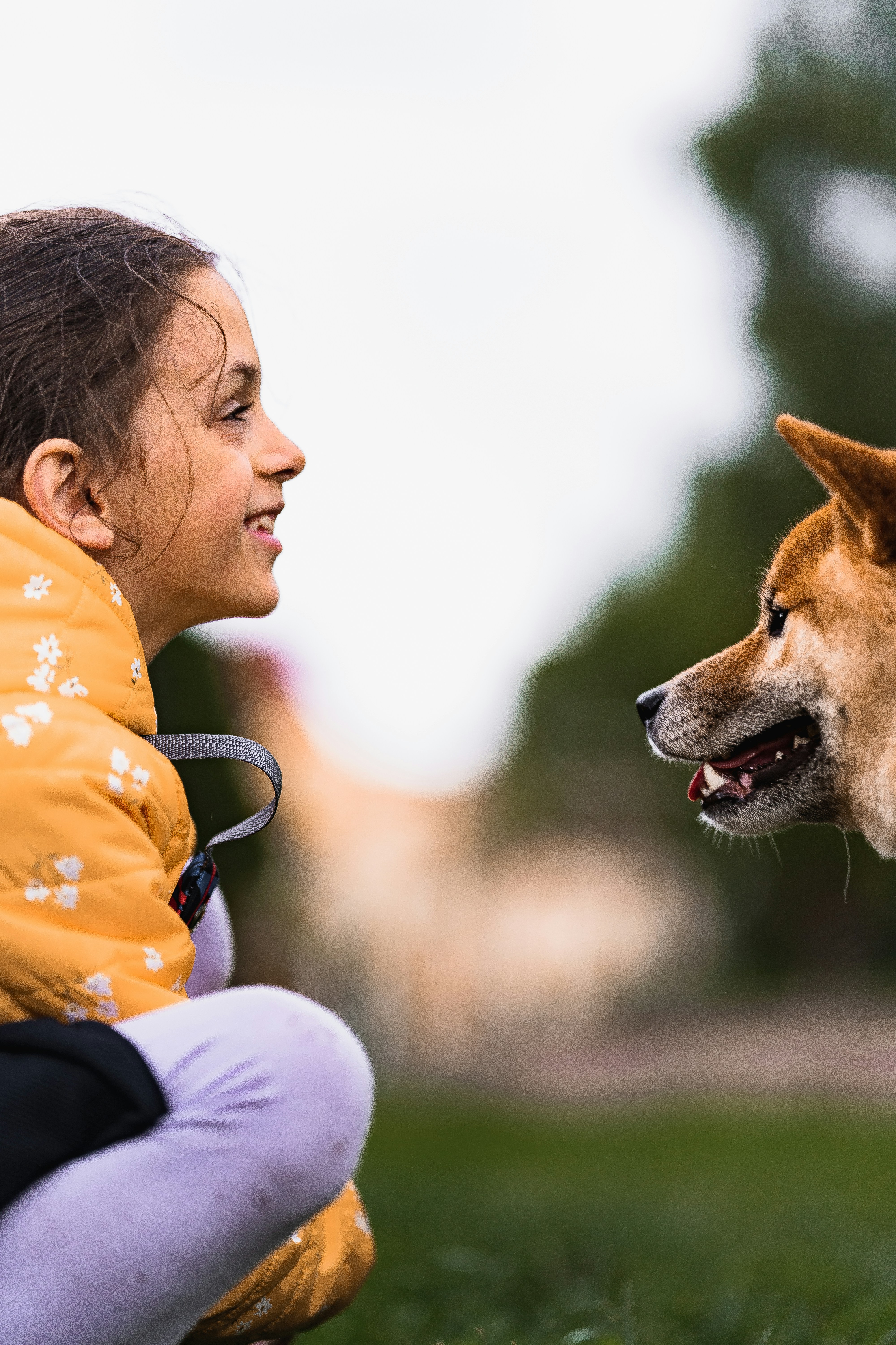 Laughter at Eye Level: A Girl and Her Dog Pause for a Park Moment
