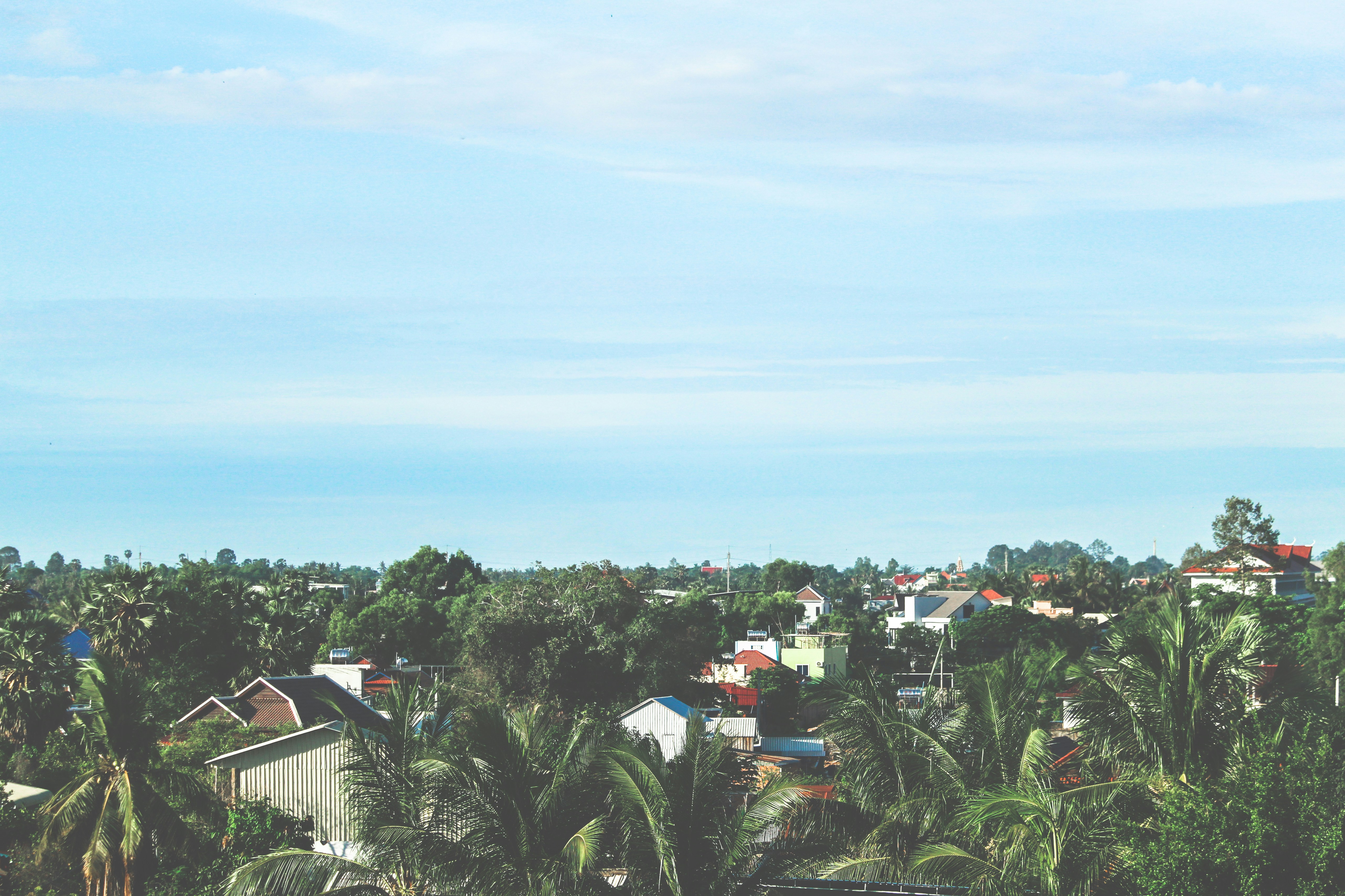 green trees and houses under blue sky during daytime