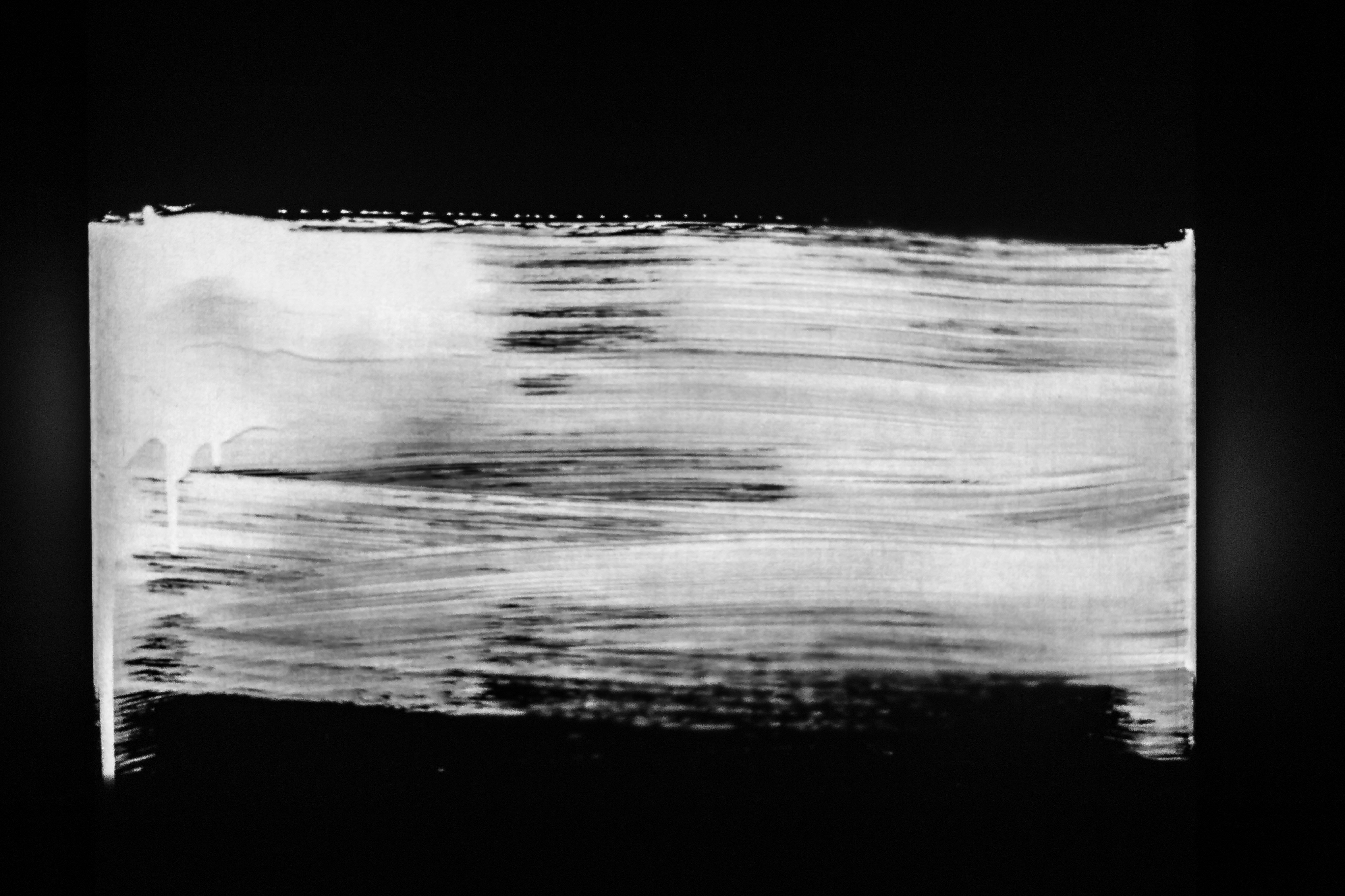 Echoes of Motion: A Monochrome SymphonyLuca Nicoletti