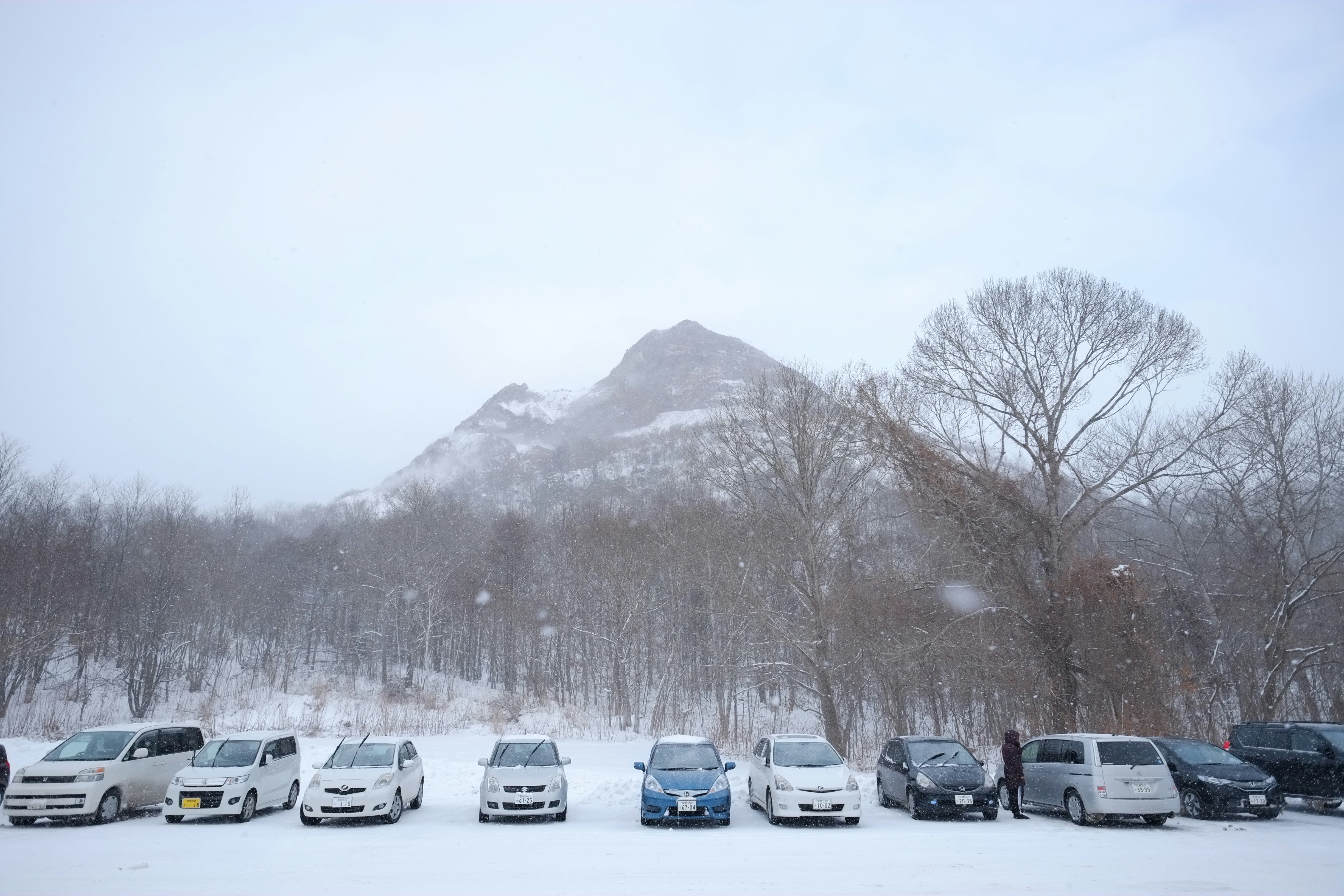 Row of cars parked in a snowy landscape beneath leafless trees and a distant mountain.