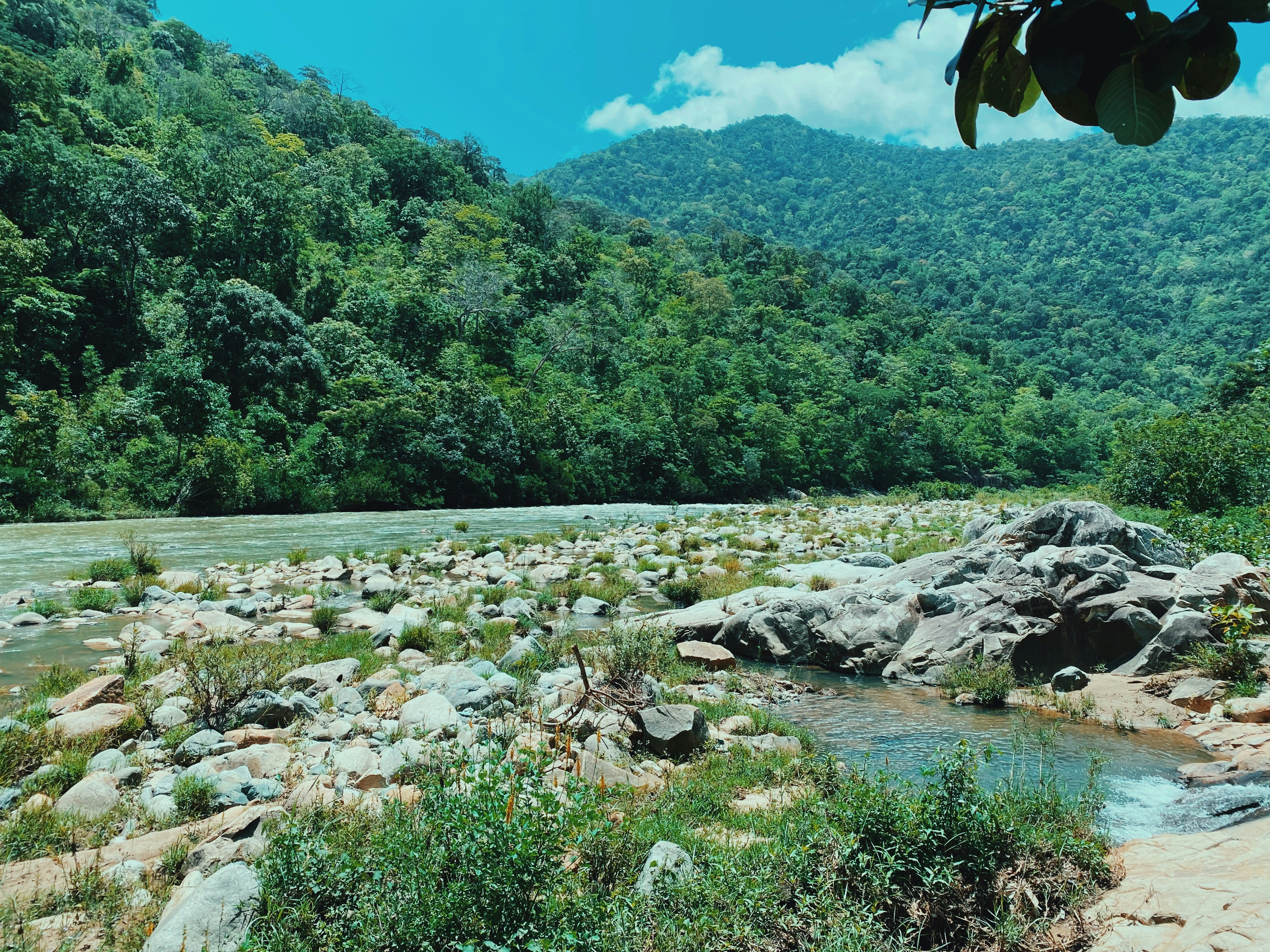 Serene riverbank scene featuring smooth stones and vibrant greenery under a clear blue sky.