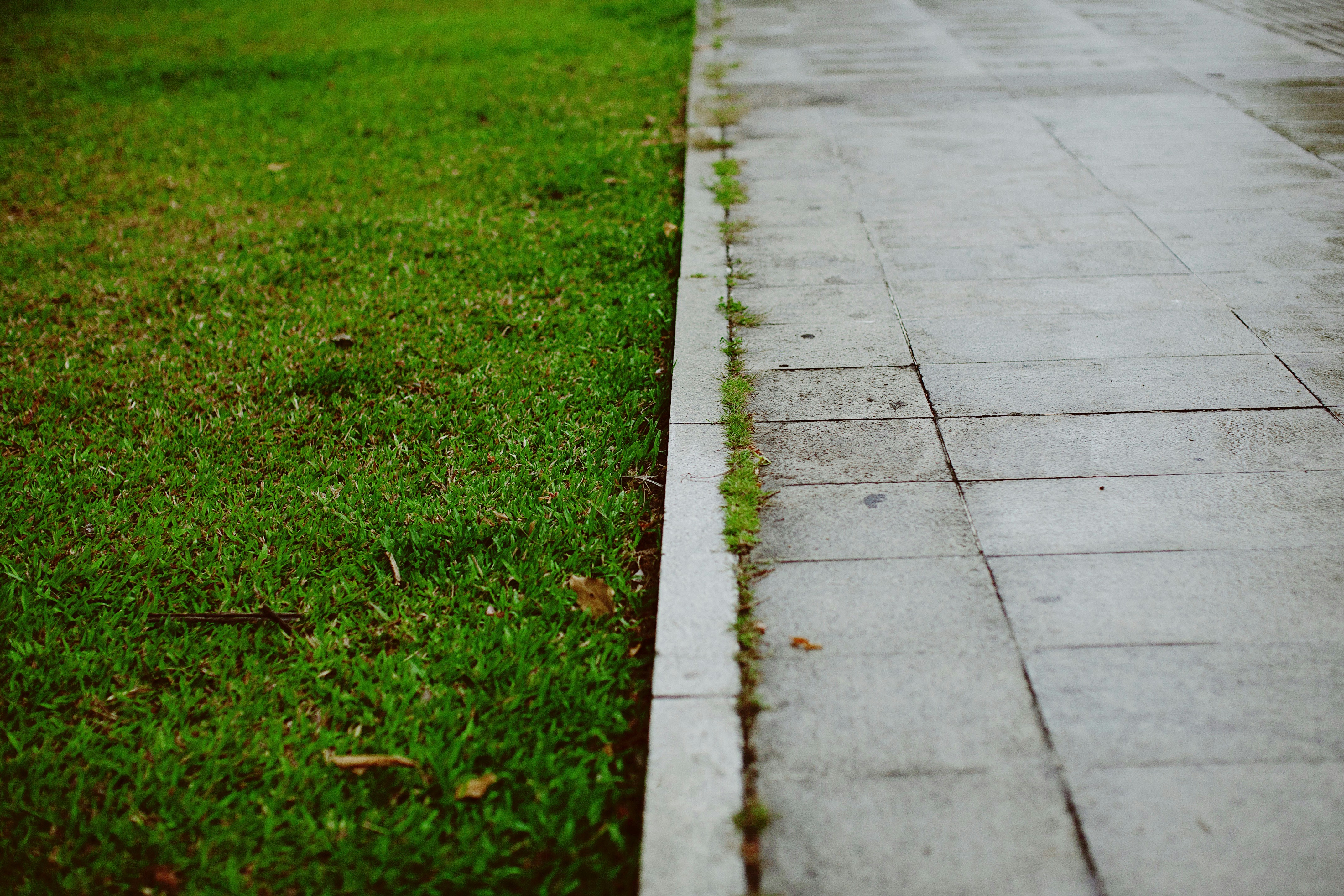Lush green grass juxtaposed with a sleek, wet pavement, highlighting the harmony between nature and urban landscapes.