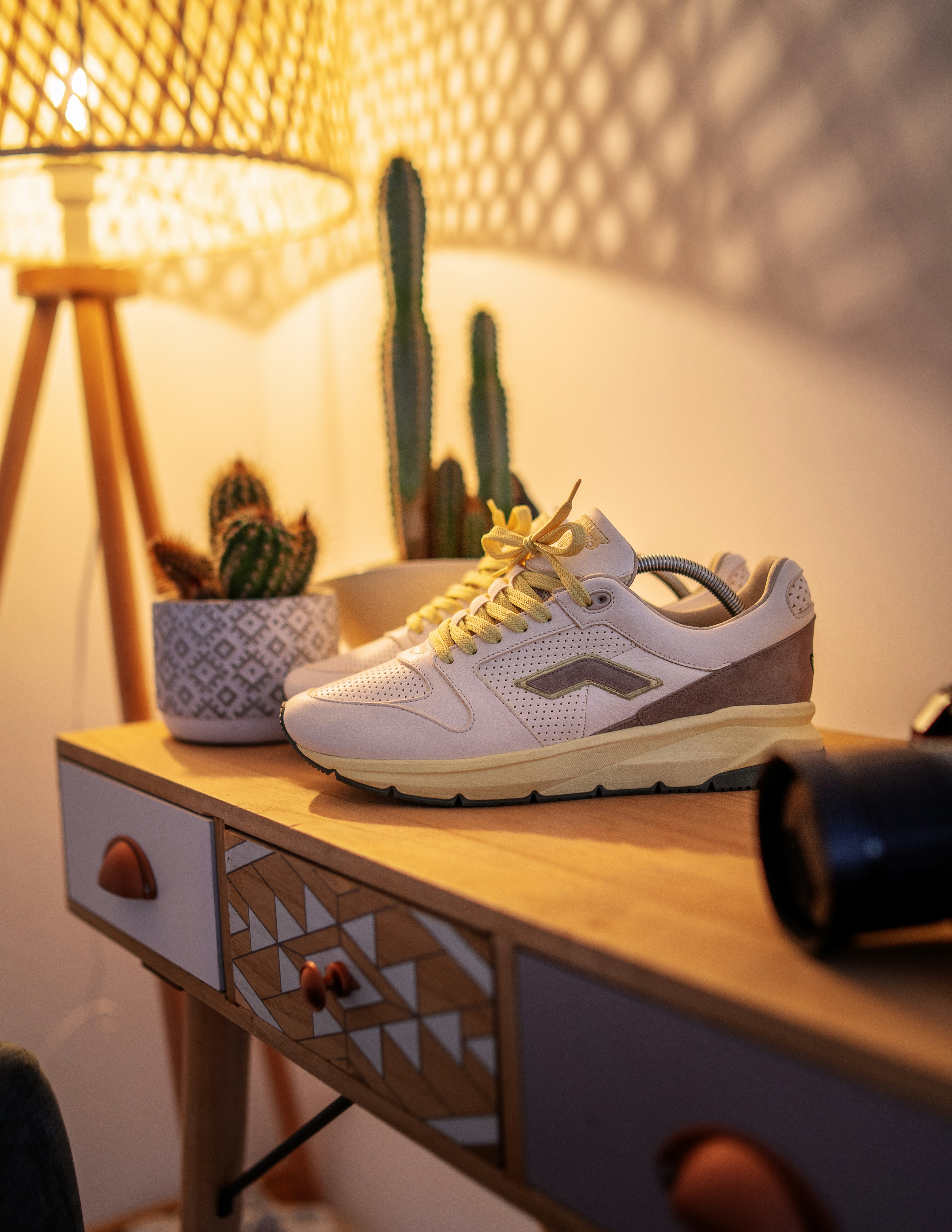 Amber Glow Desk Still Life: White Sneaker Beside Cacti
