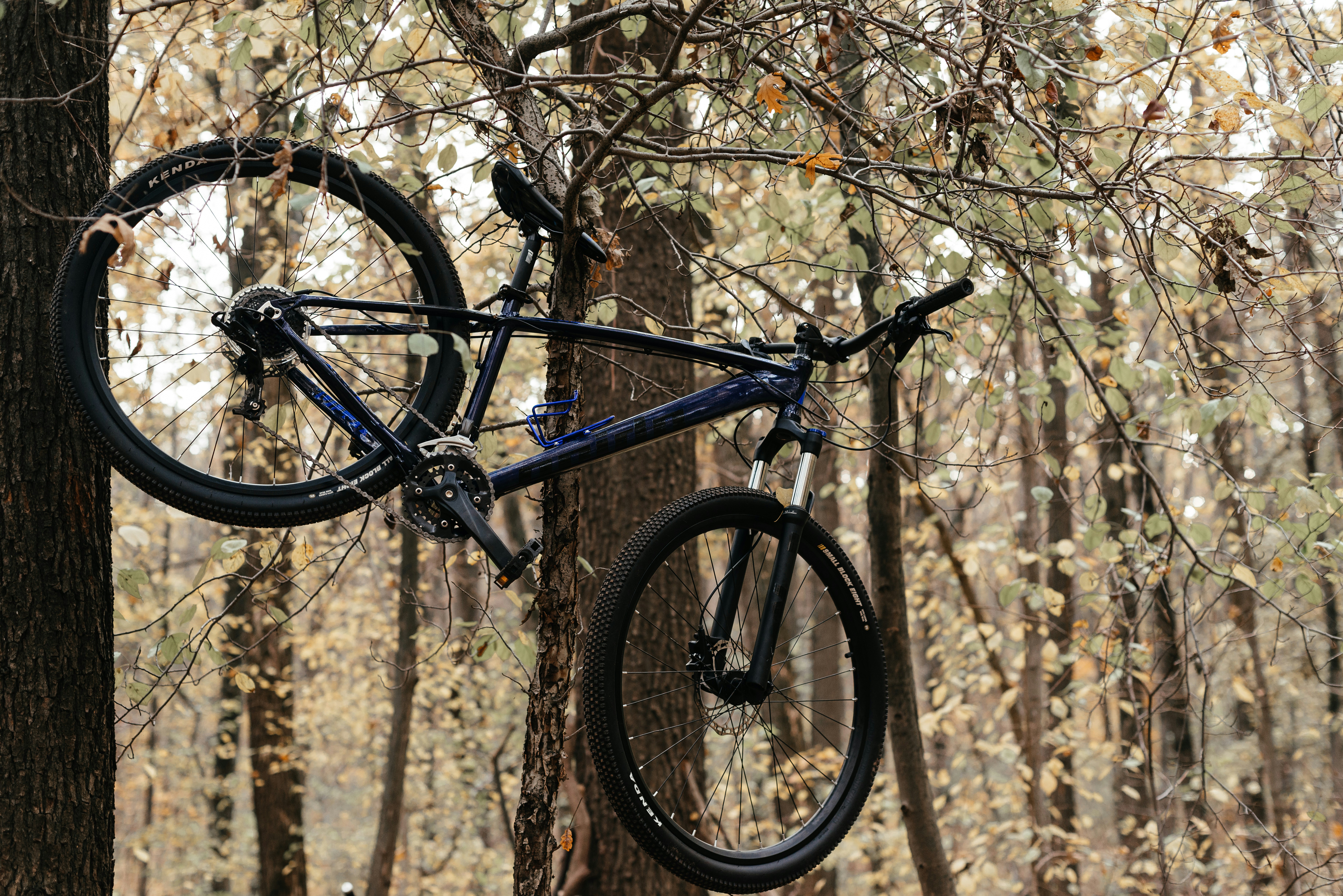 Black and blue mountain bike photo – Free Grey Image on Unsplash