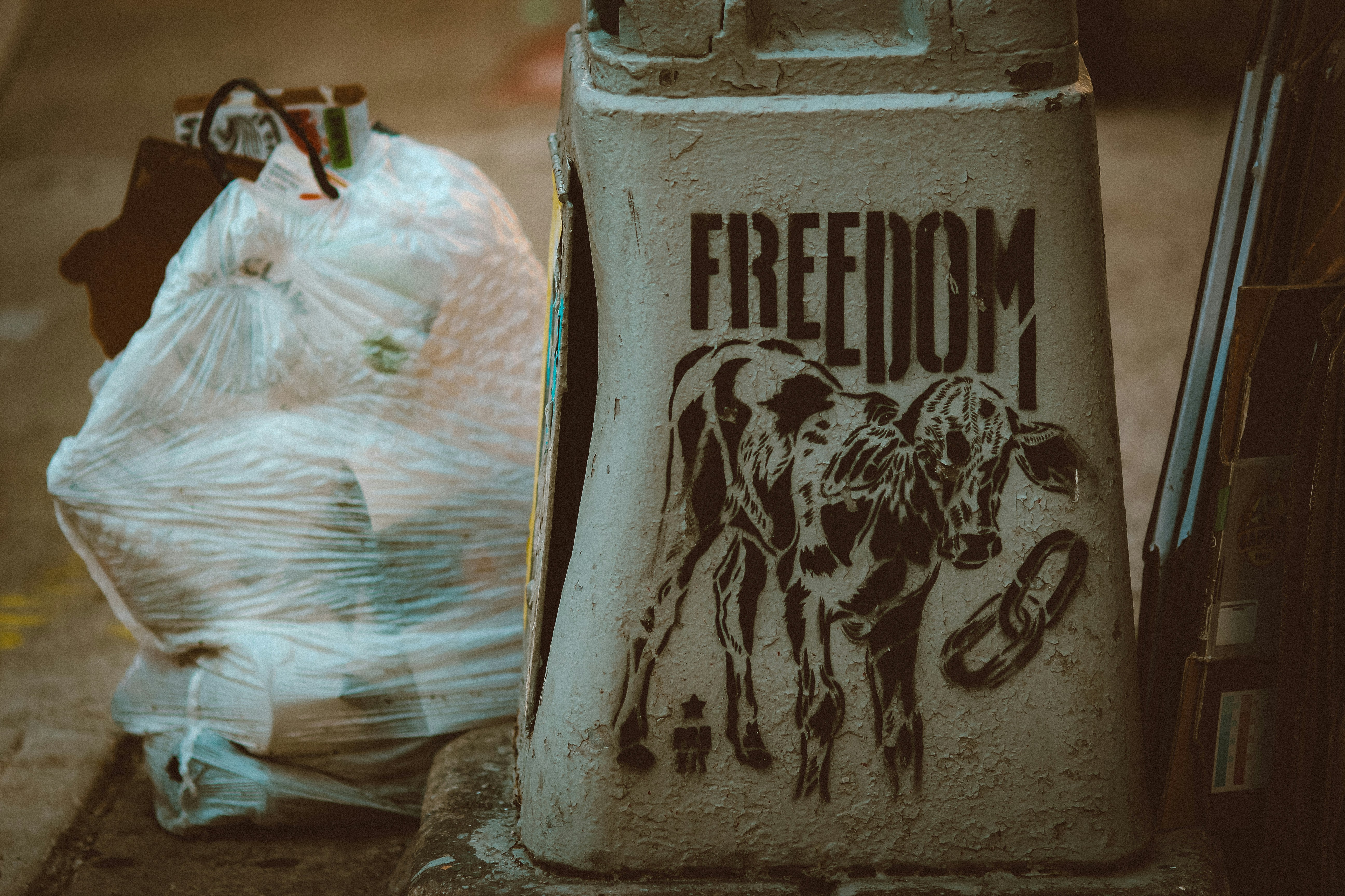 Freedom on the Corner: Graffiti-Stamped Street Can