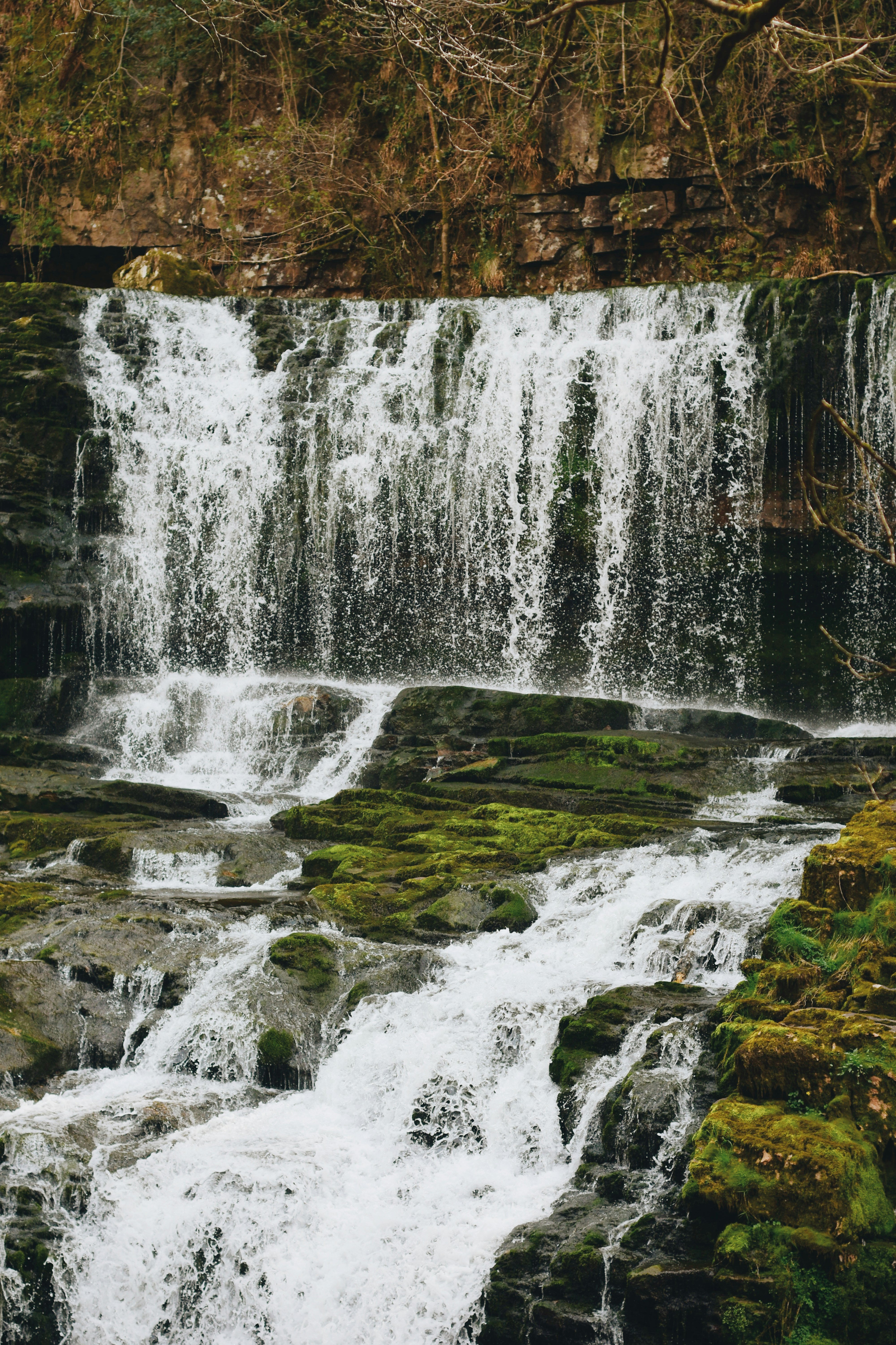 A serene waterfall flows over moss-covered rocks, surrounded by lush greenery and bare branches, creating a tranquil natural scene.