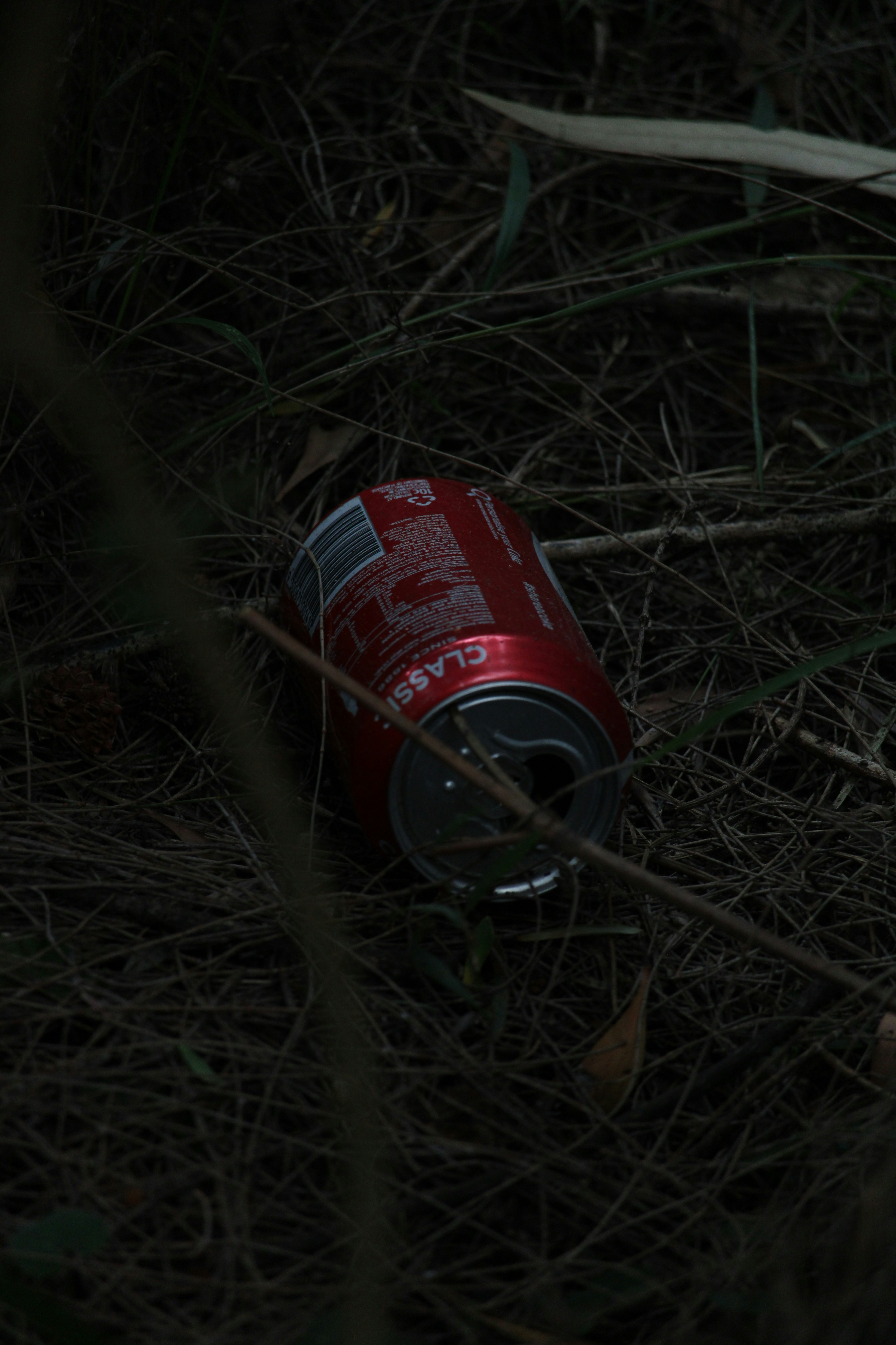 Red and white can on green grass photo – Free Drink Image on Unsplash