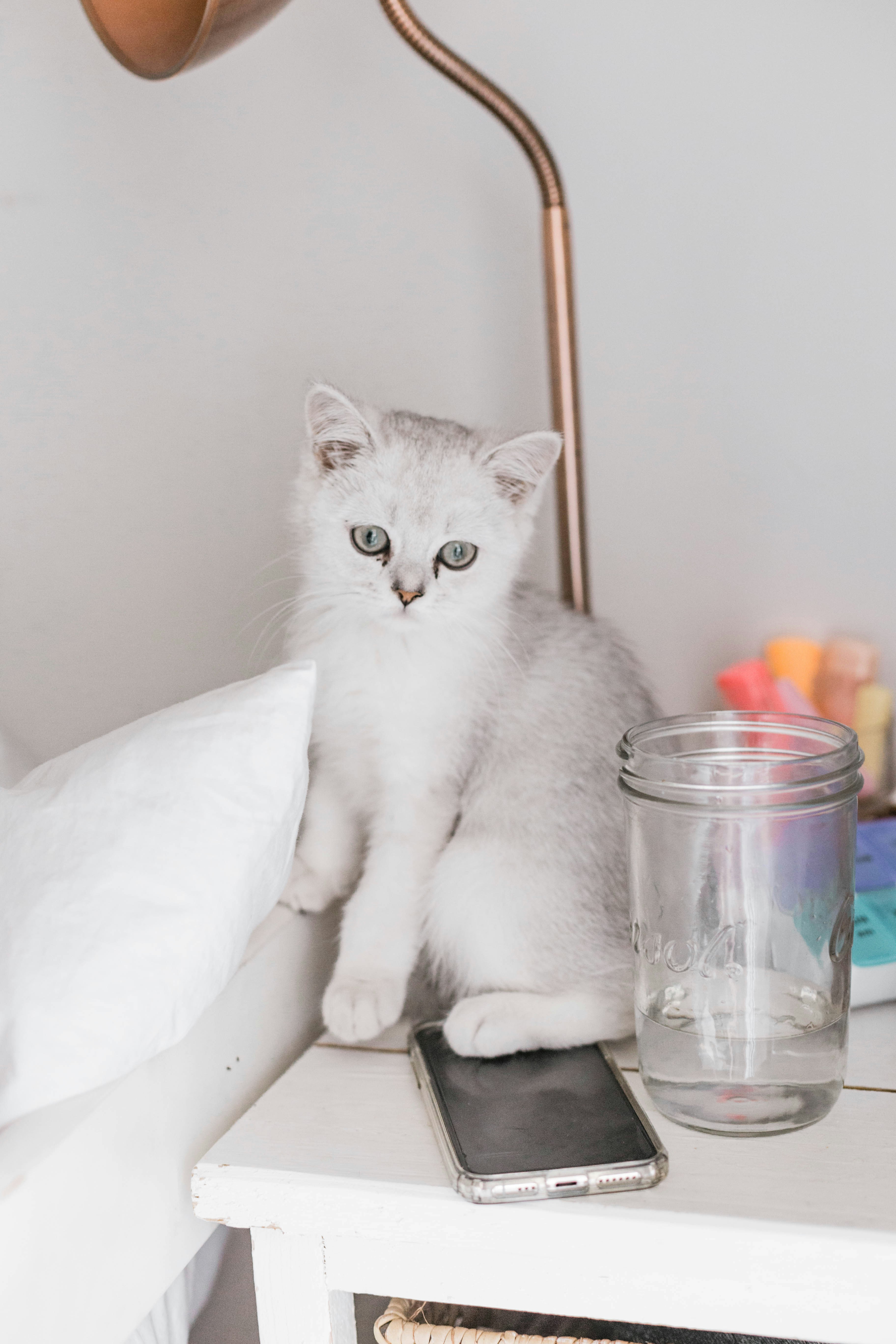 Soft-Eyed Kitten Among Desk Essentials