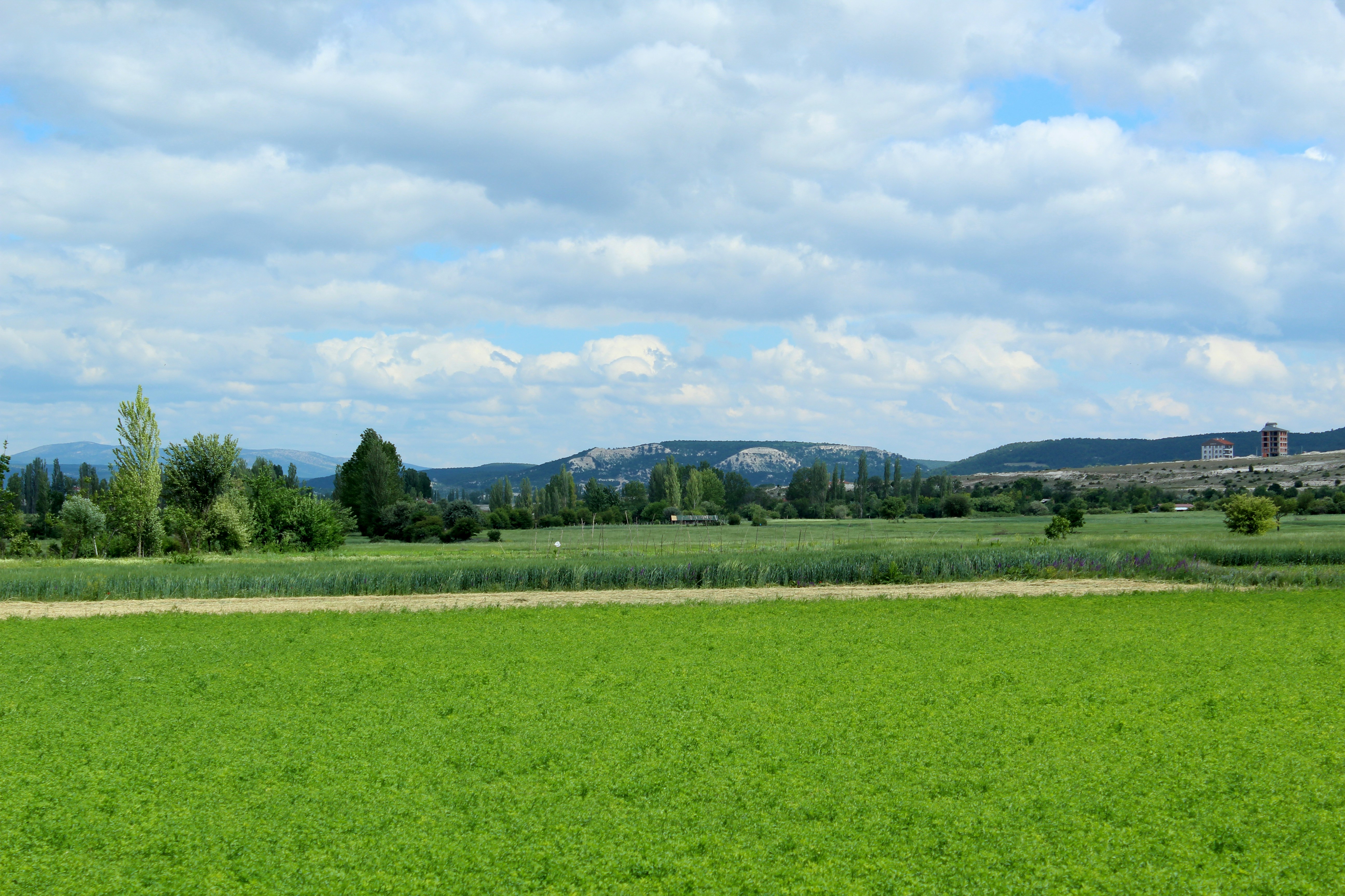 500+ Green Landscape Pictures [Stunning!] | Download Free Images on ...