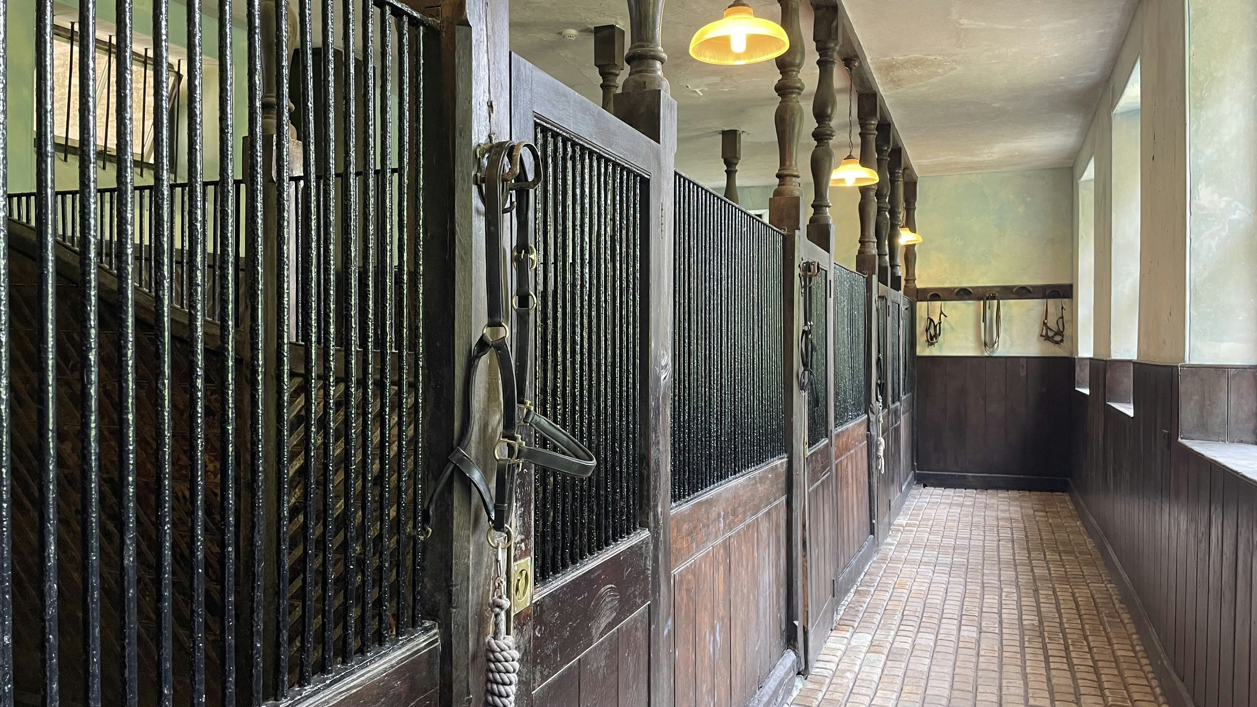 Stable Pictures | Download Free Images on Unsplash