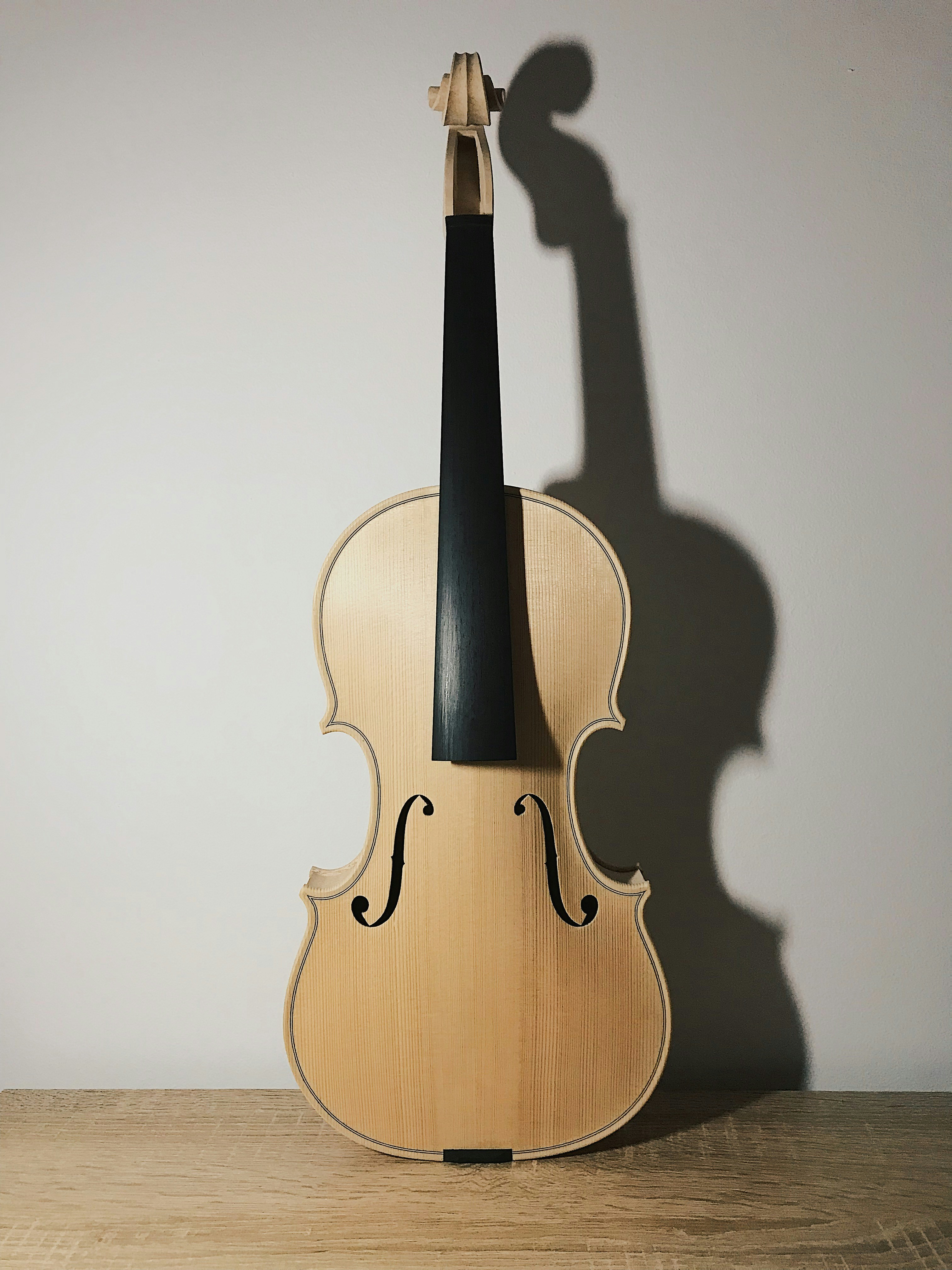 brown violin with black bowDarius Cotoi