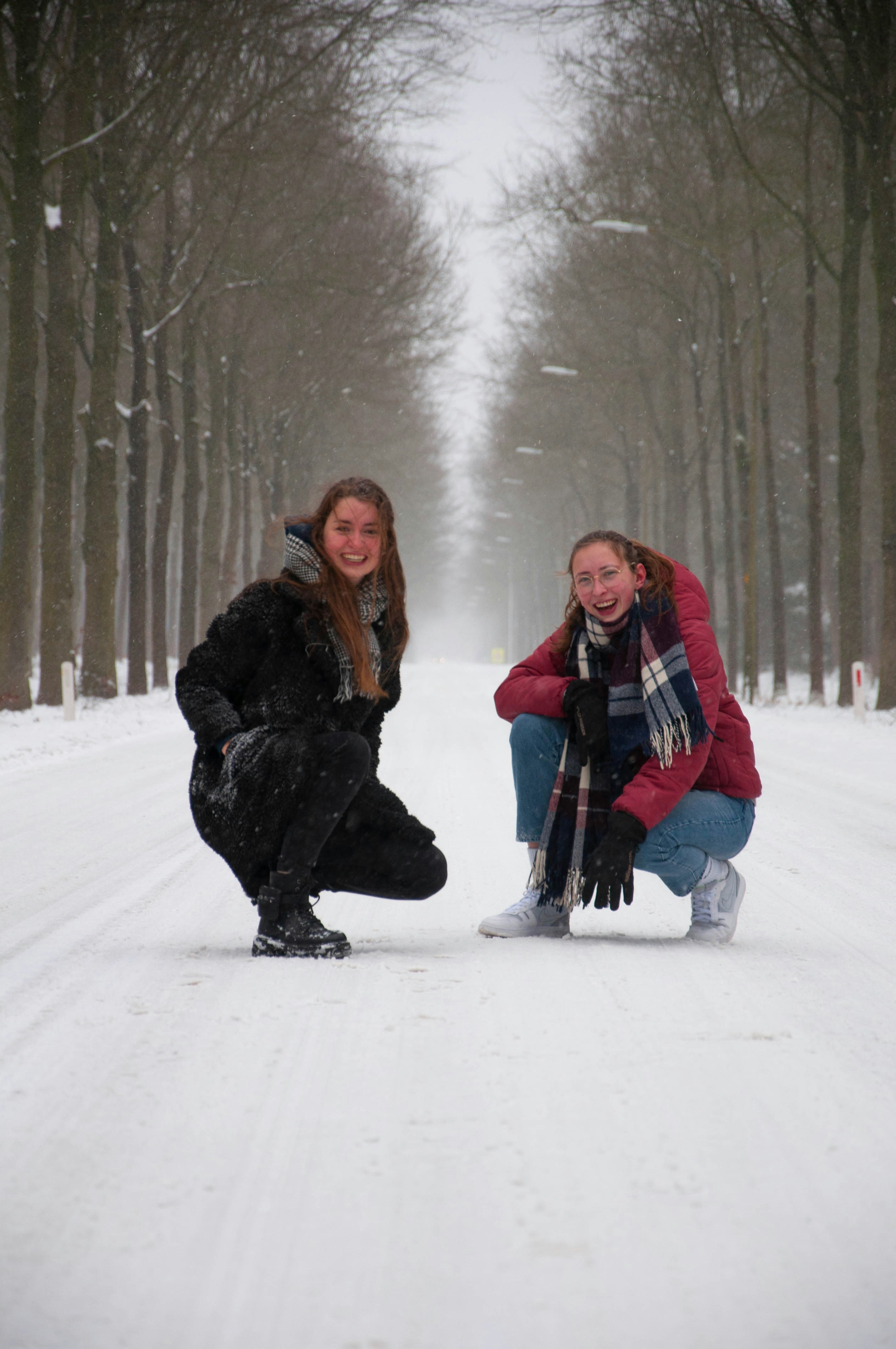 Two Friends on a Snow-Draped Avenue, Framed by a Tree-Lined Winter Corridor