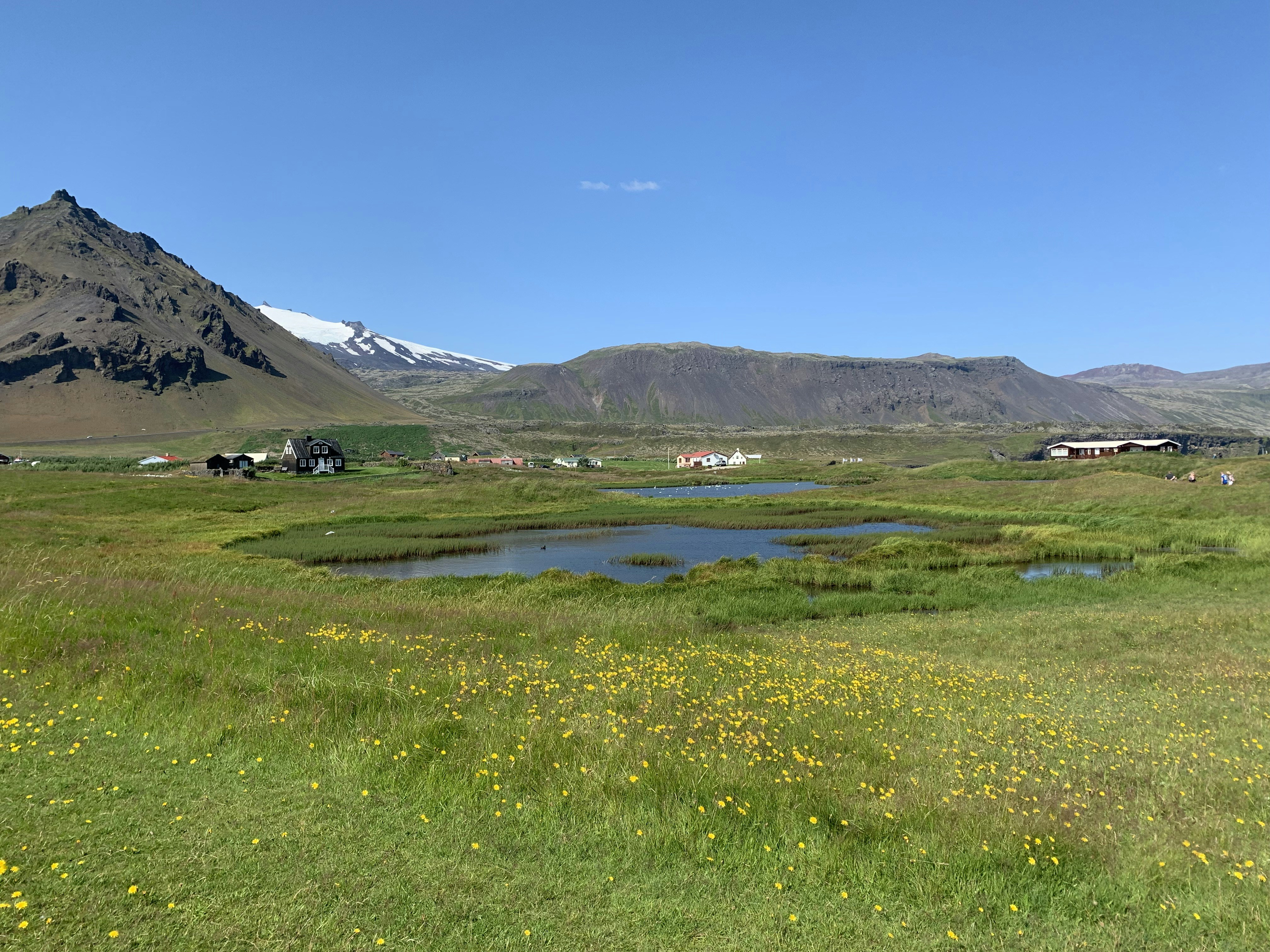 Meadow, Pond, and Snow-Dusted Peaks: An Icelandic Highlands Panorama