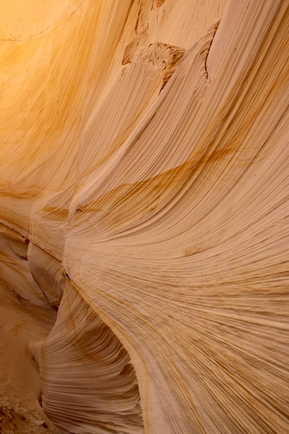 La mise en place du CSE | Elite-irp