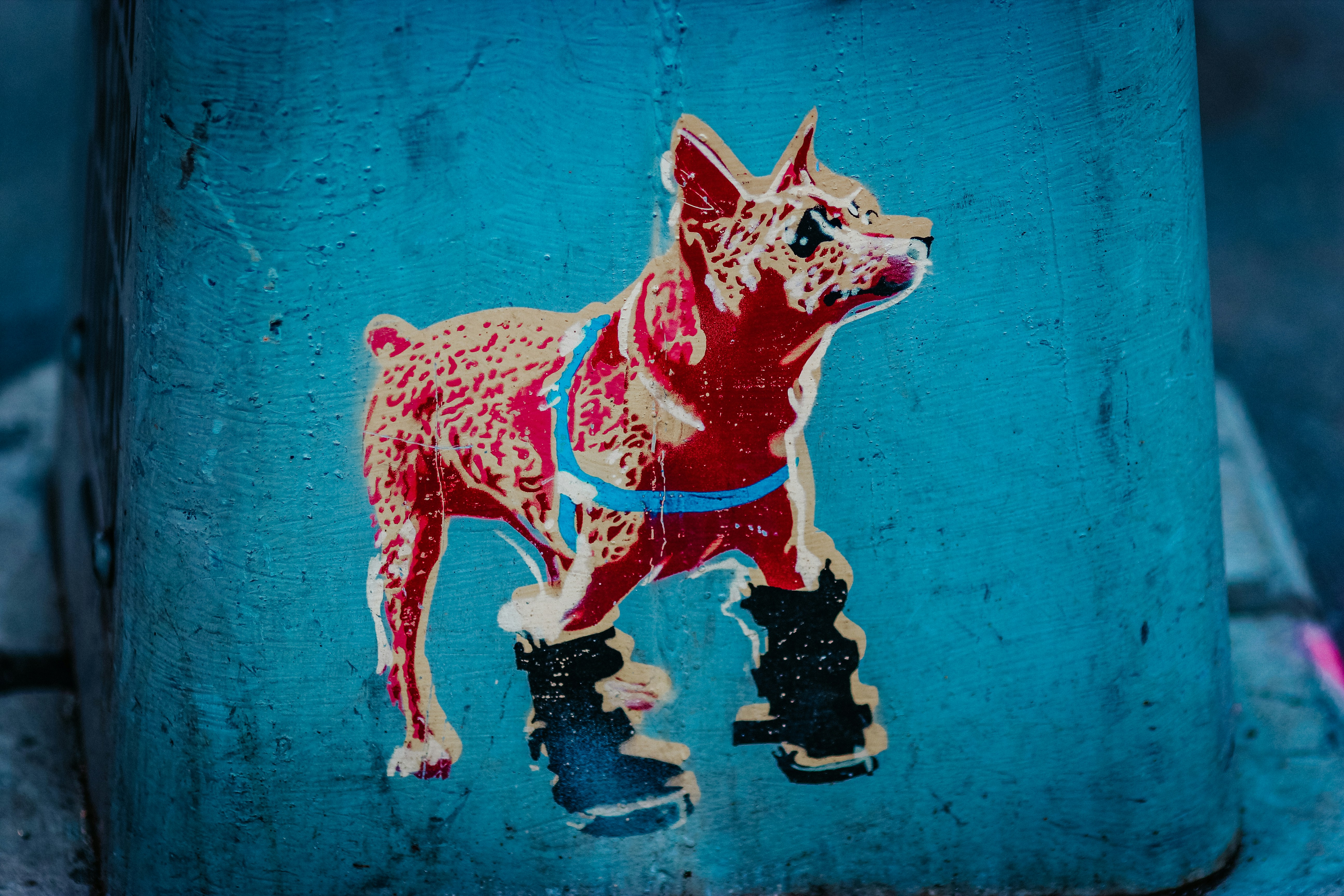 Blue Barrel, Red-Tinted Dog Sticker: A Vigilant Canine Against Urban Concrete