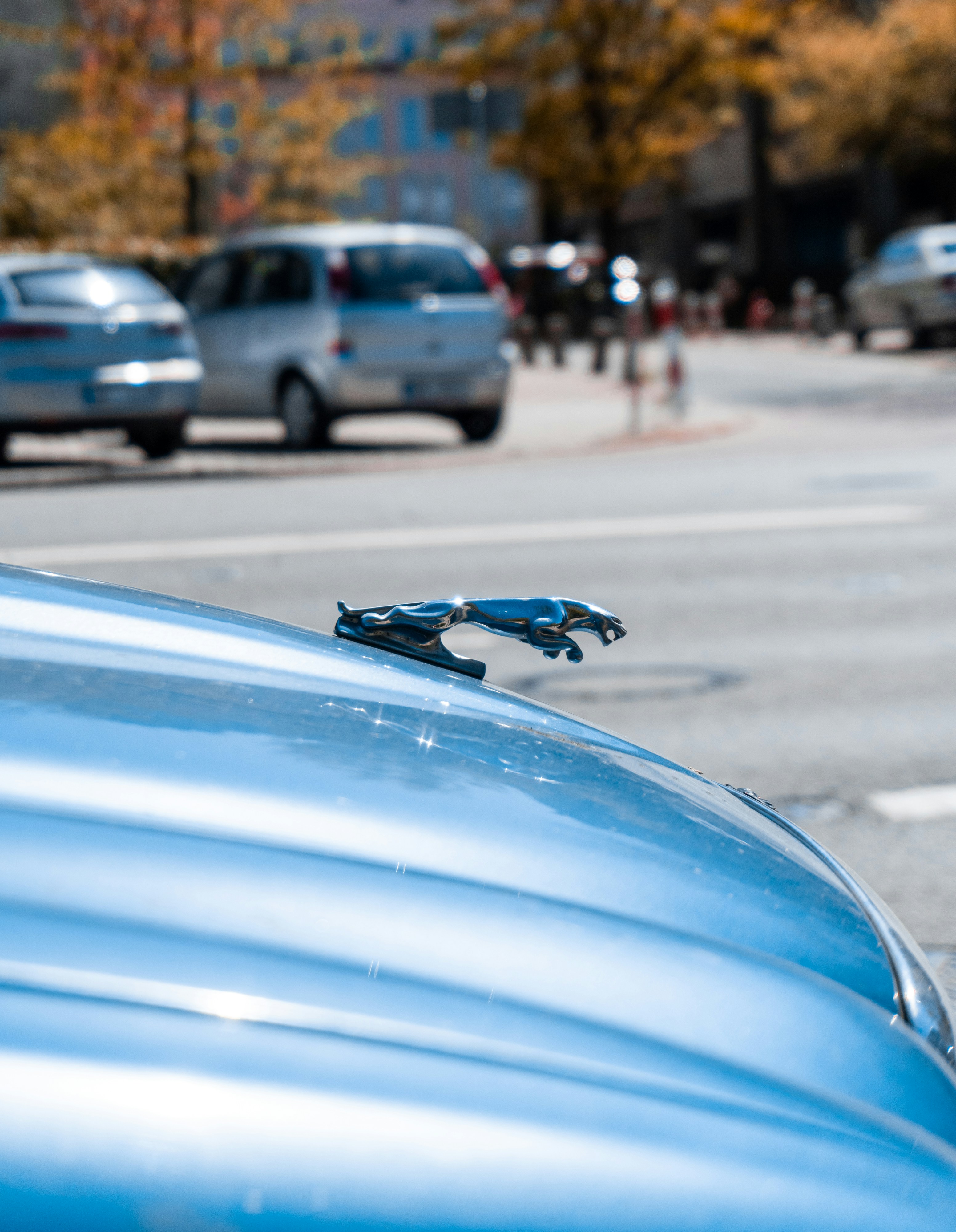 Want more photos?
Follow me on Instagram @wayteeeee
& on Unsplash unsplash.com/@ytdigital