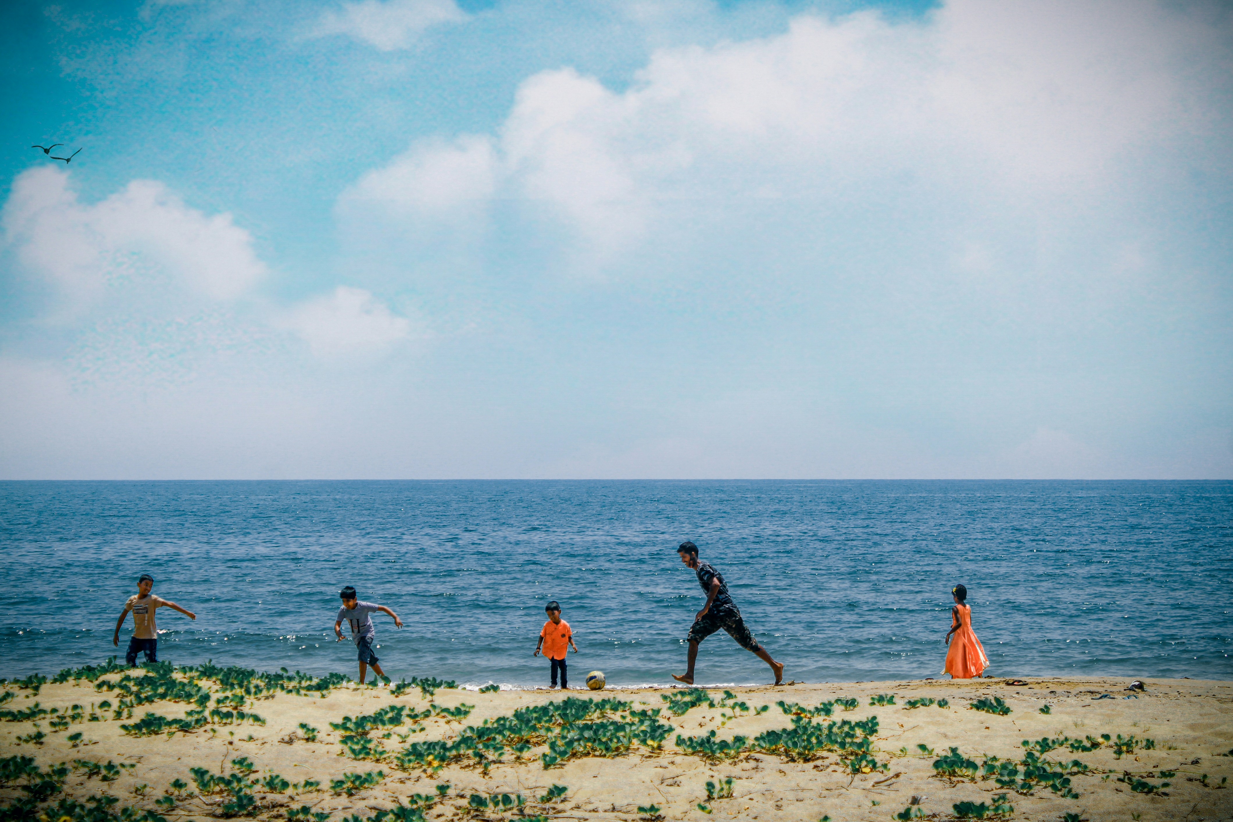 People walking on beach during daytime photo – Free Andaman and nicobar ...