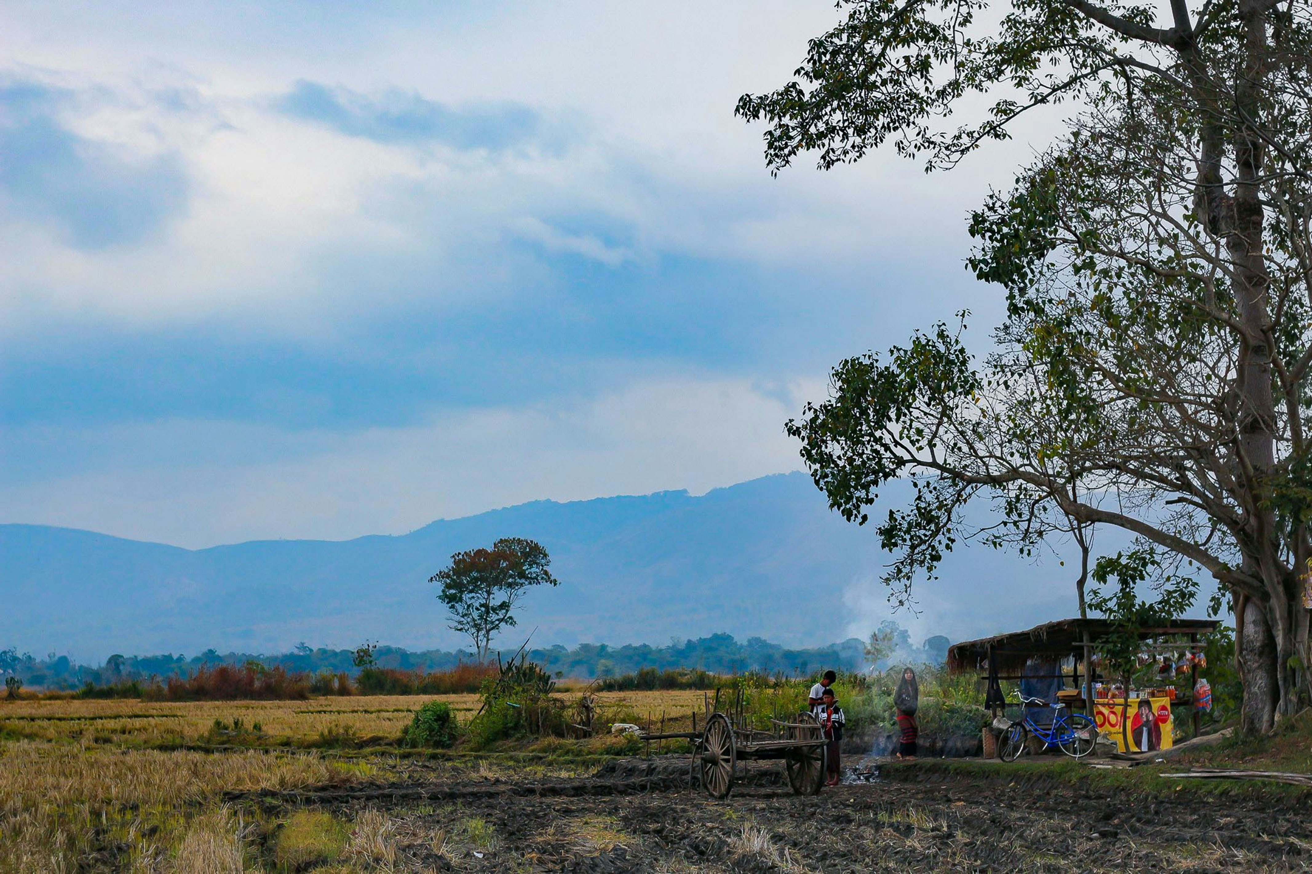 Green grass field with trees under blue sky during daytime photo – Free ...