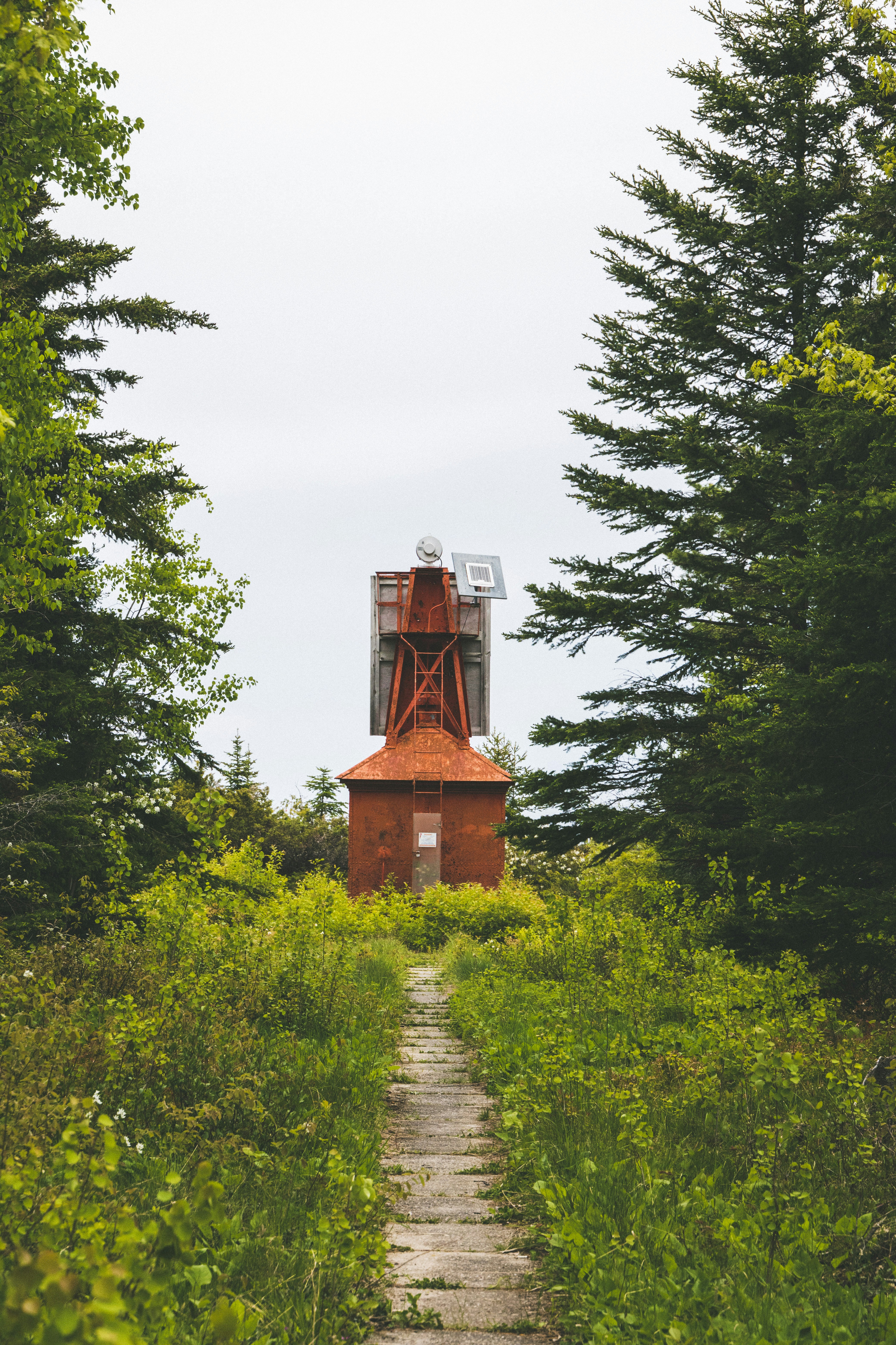 An old observation tower stands at the end of a stone path, surrounded by lush greenery and tall trees, hinting at a forgotten era. The structure features solar panels on its roof.