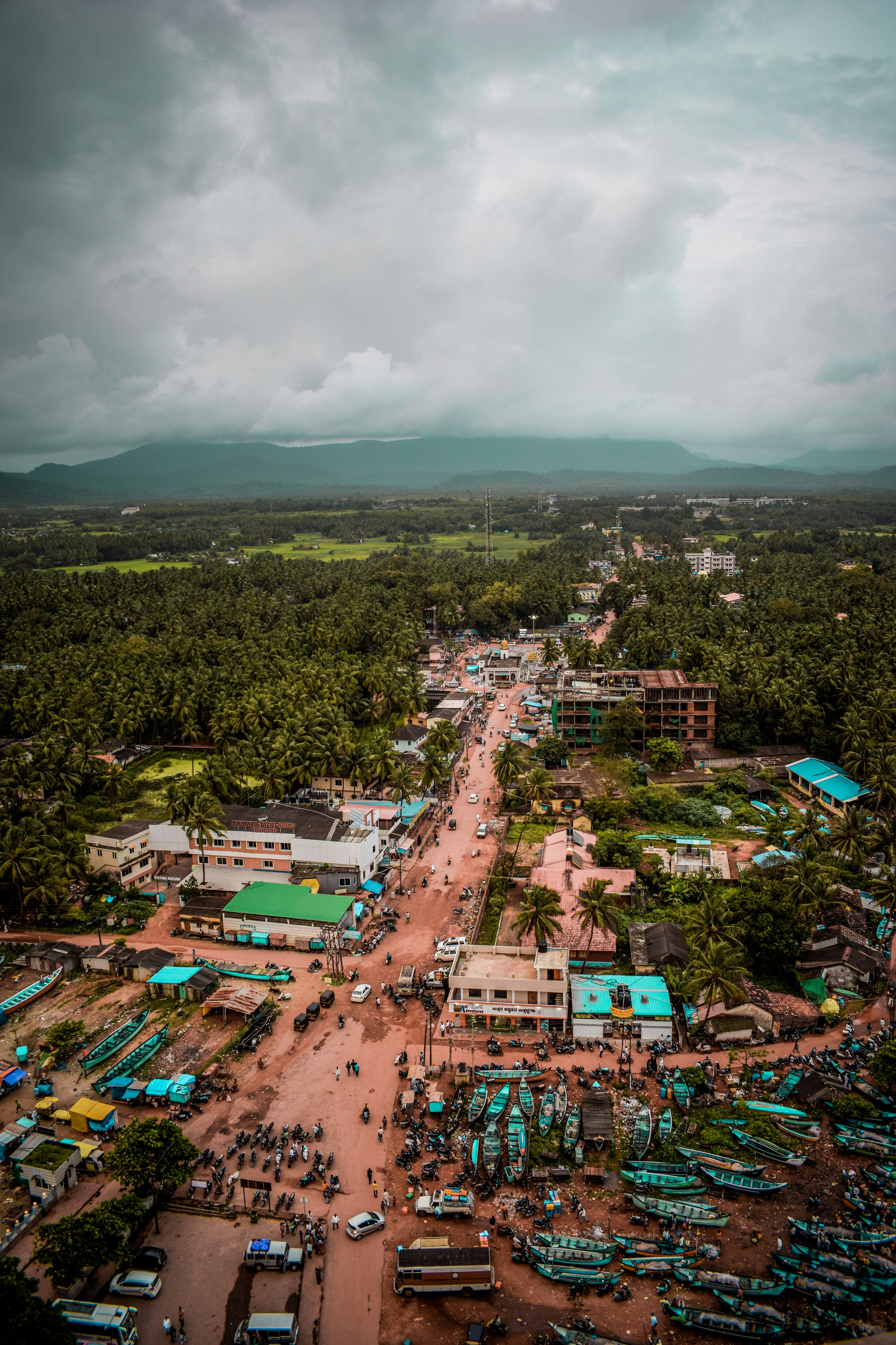 Across the Palm-Dotted Road: A Coastal Town from Above