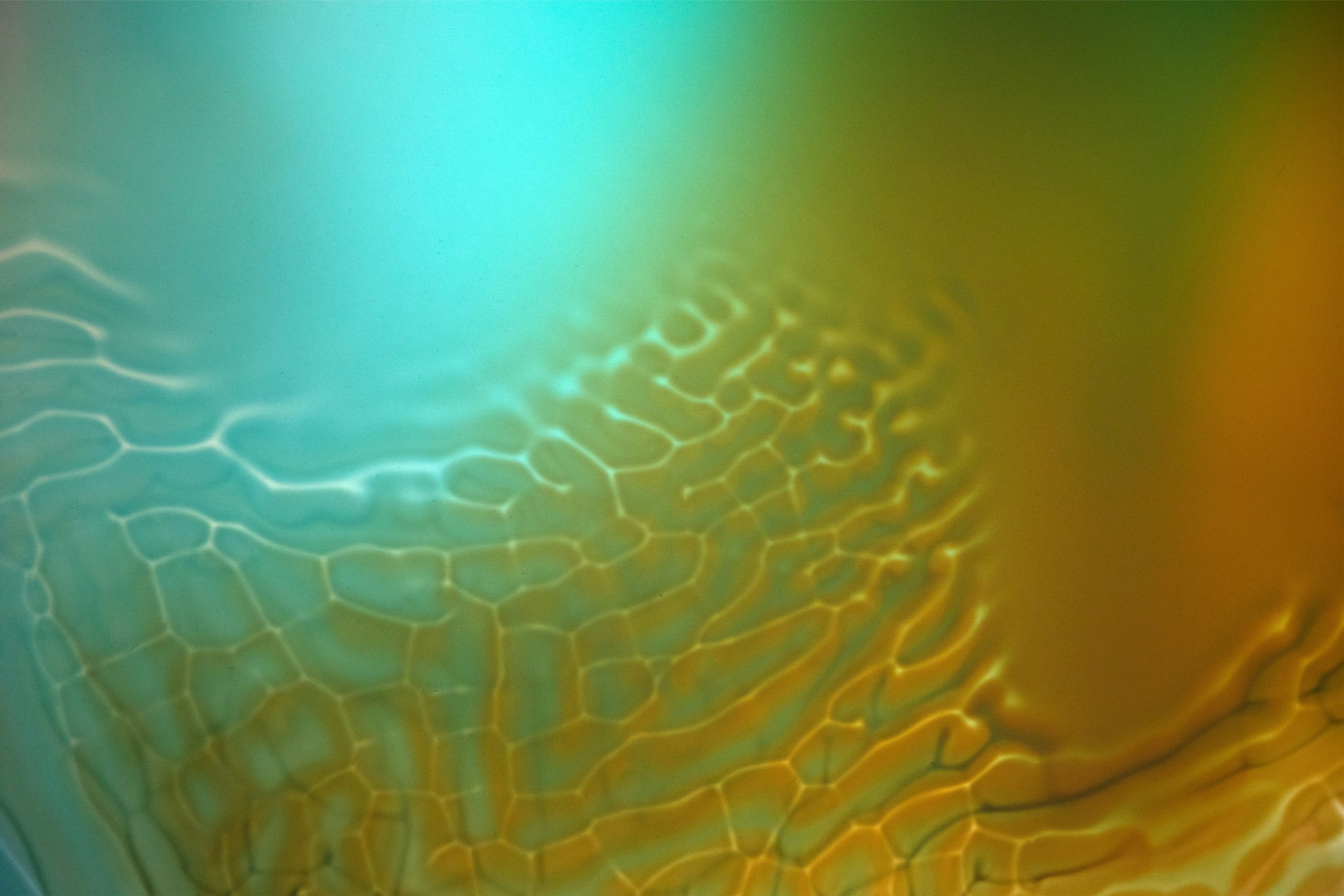 Définition de projection aphylactique | Dictionnaire français | La ...