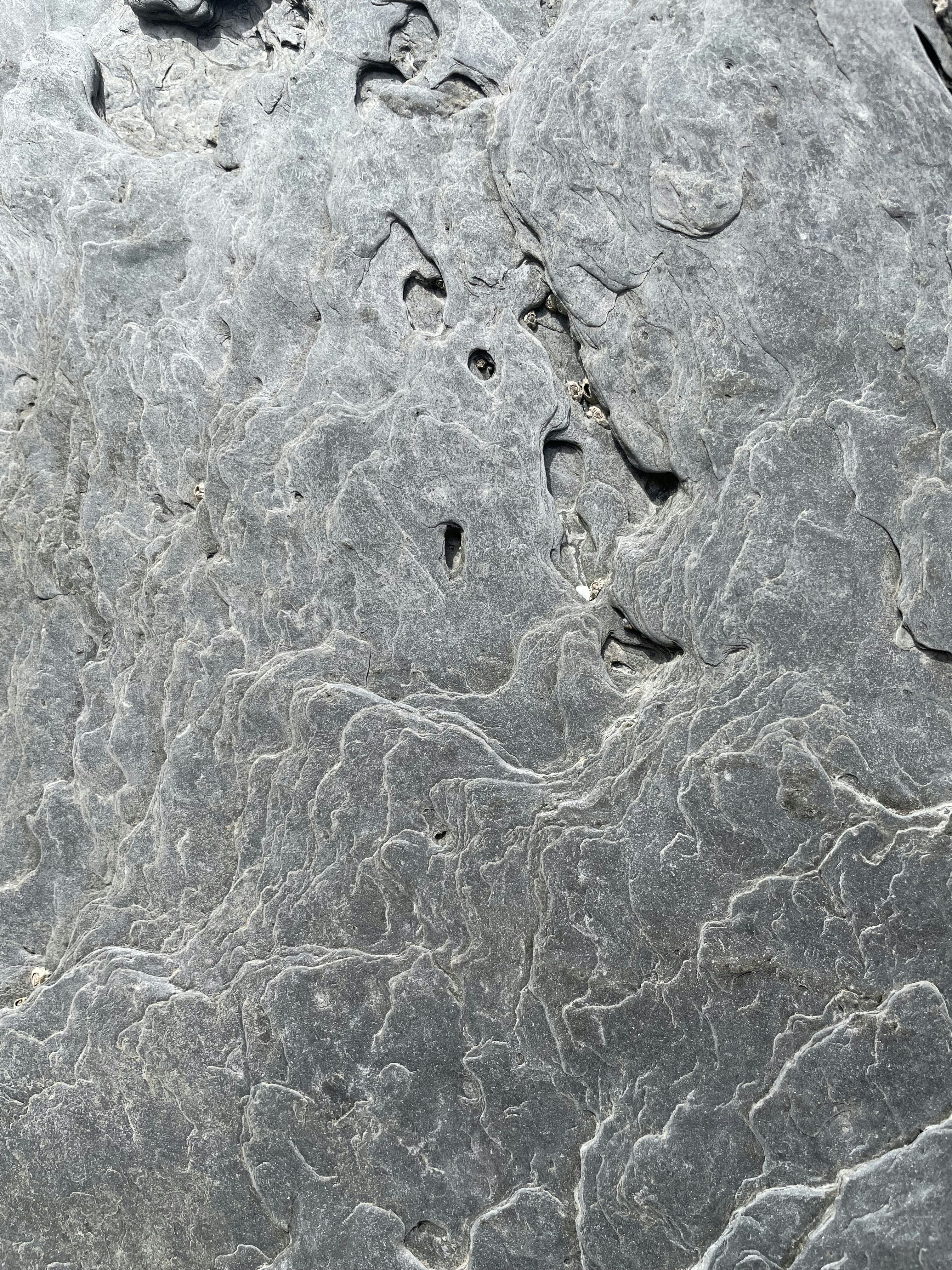 Stone Veins at Close Range: a tactile map of weathered rock textures