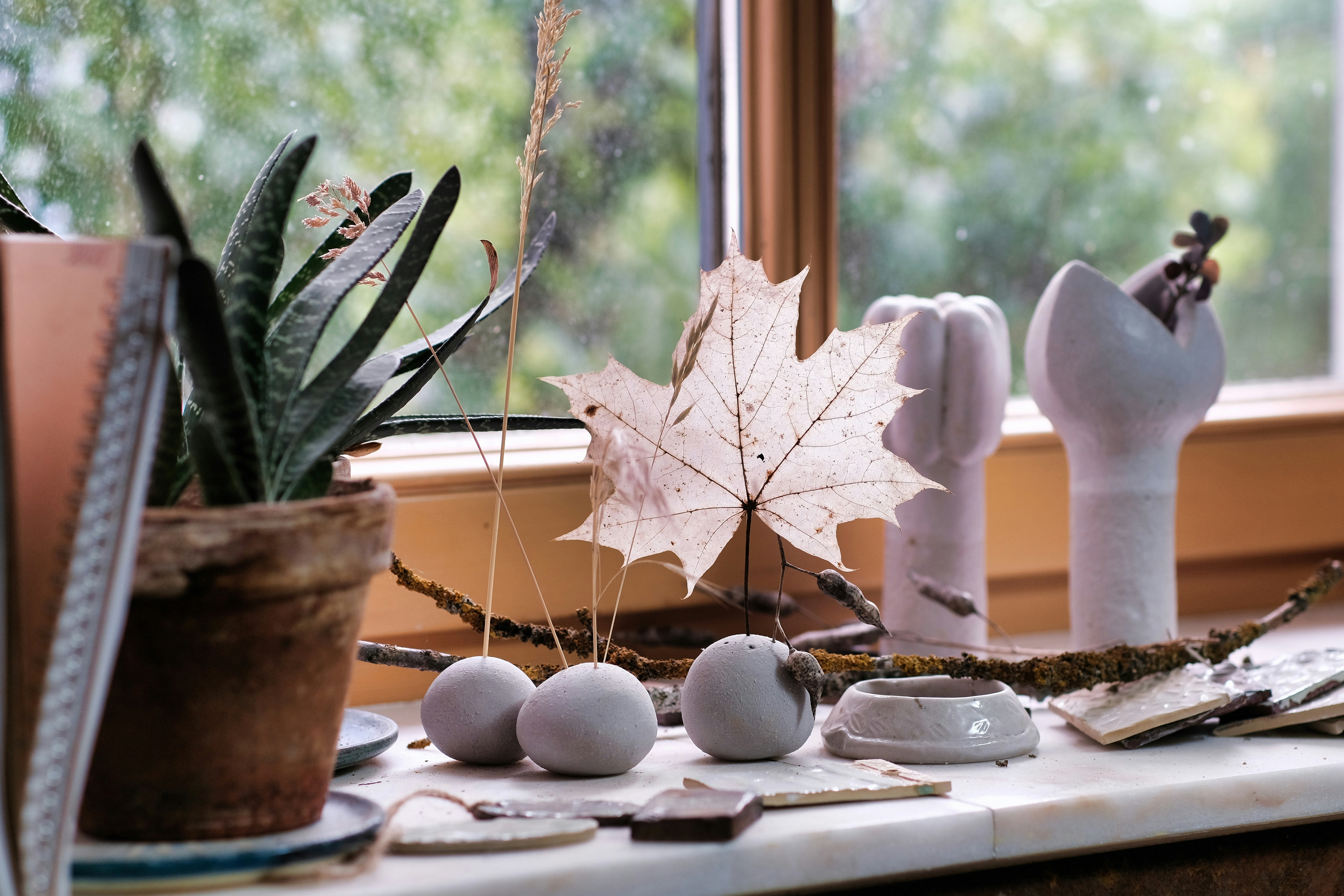 a window sill with a leaf and other items on it