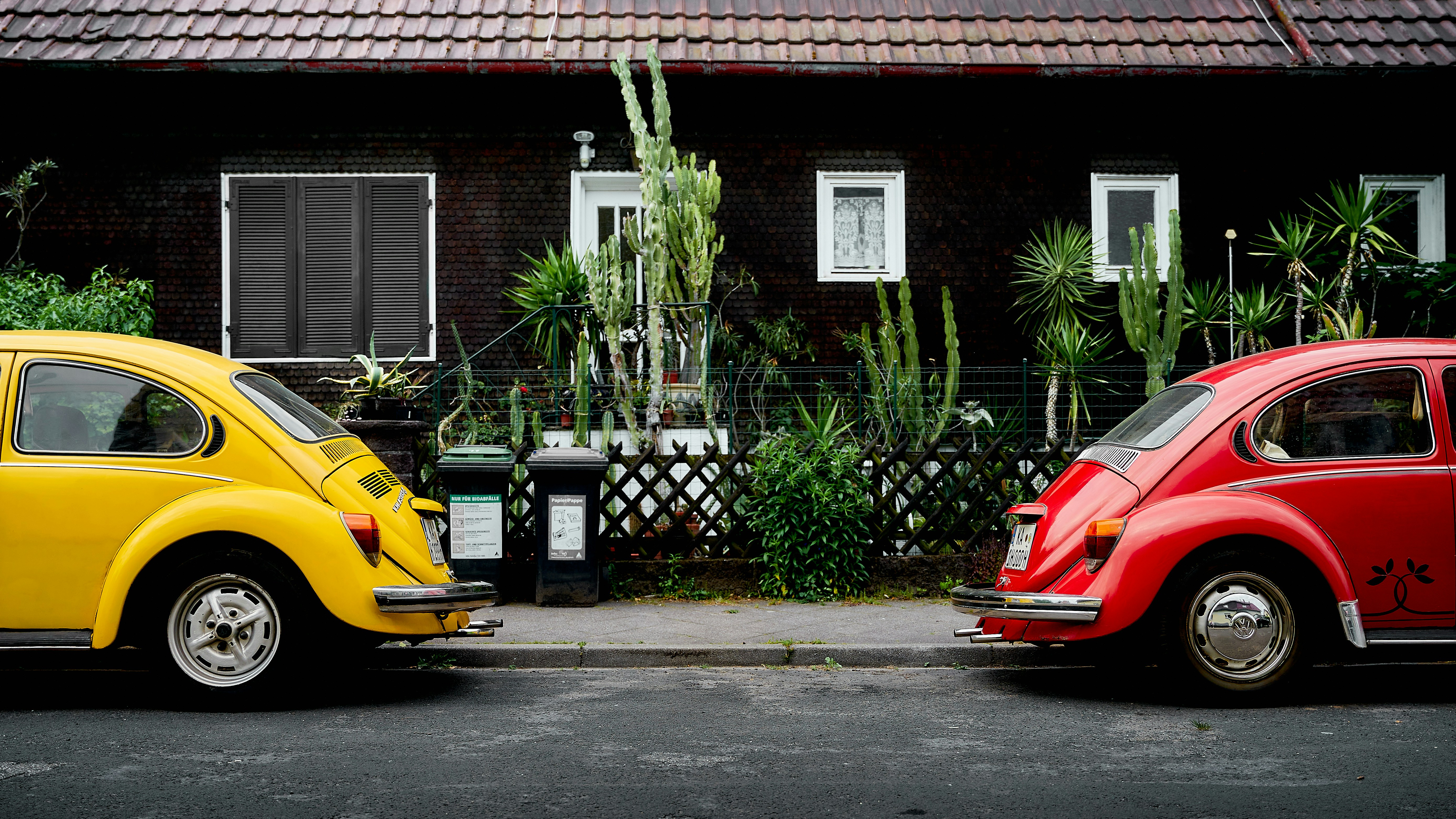 Two Vintage Beetles on a Plant-Fringed City Street