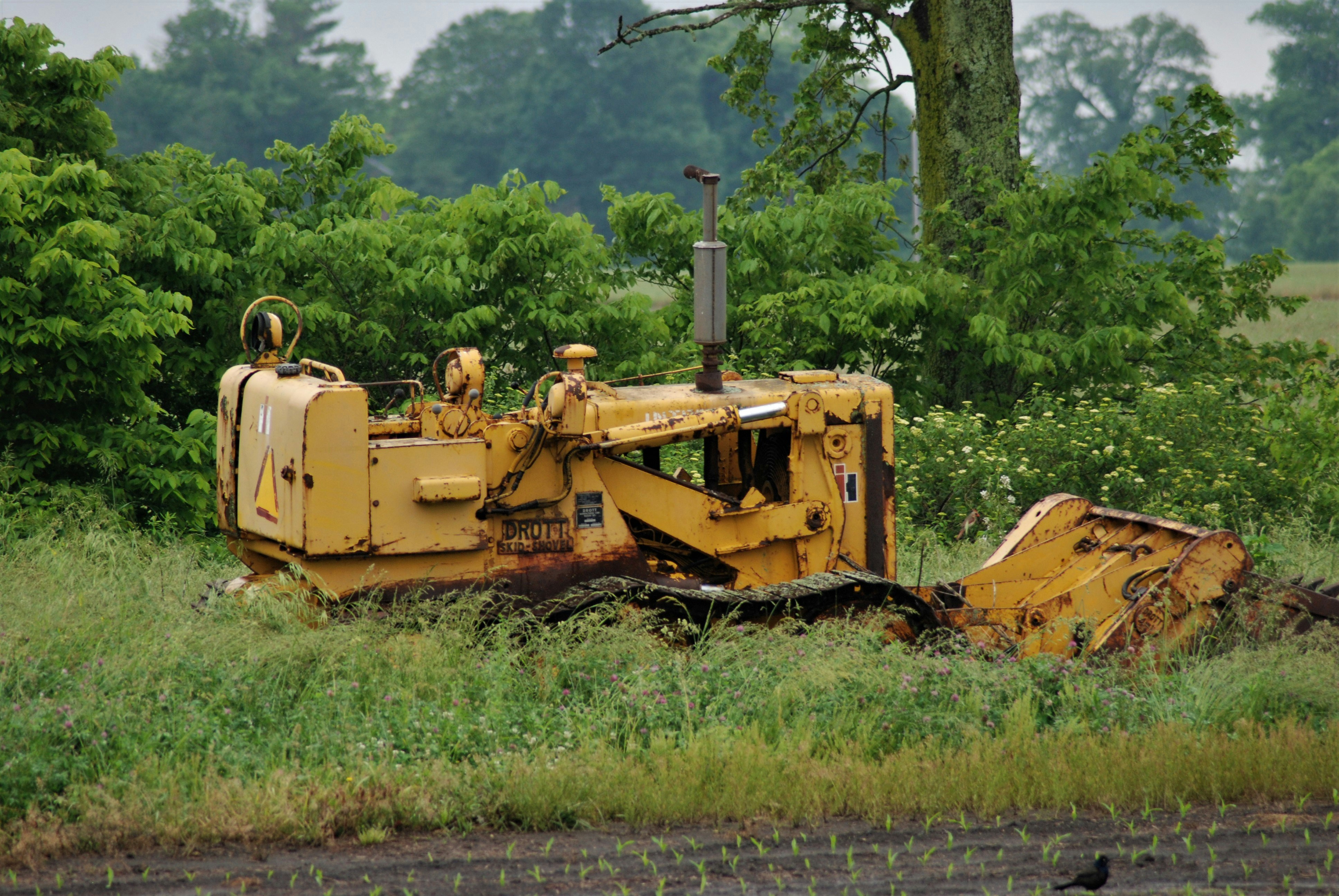 Old dead yellow International Bulldozer