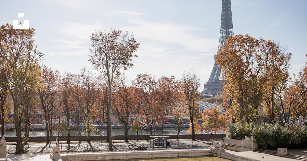 La Tour Eiffel Dominant La Ville De Paris Photo Photo Paris Gratuite