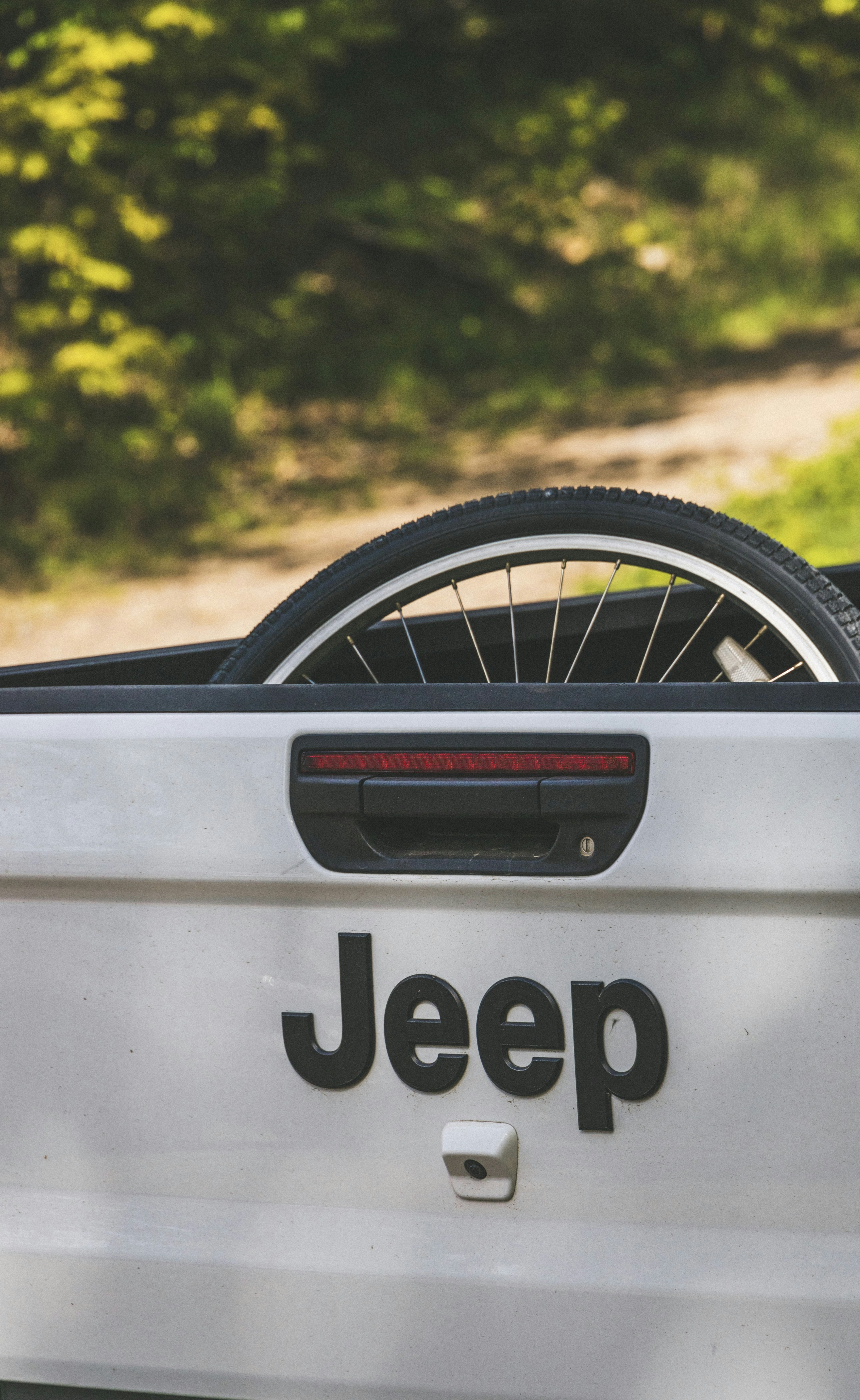 Bike Wheel in the Jeep Bed: Sunlit Forest Road Scene