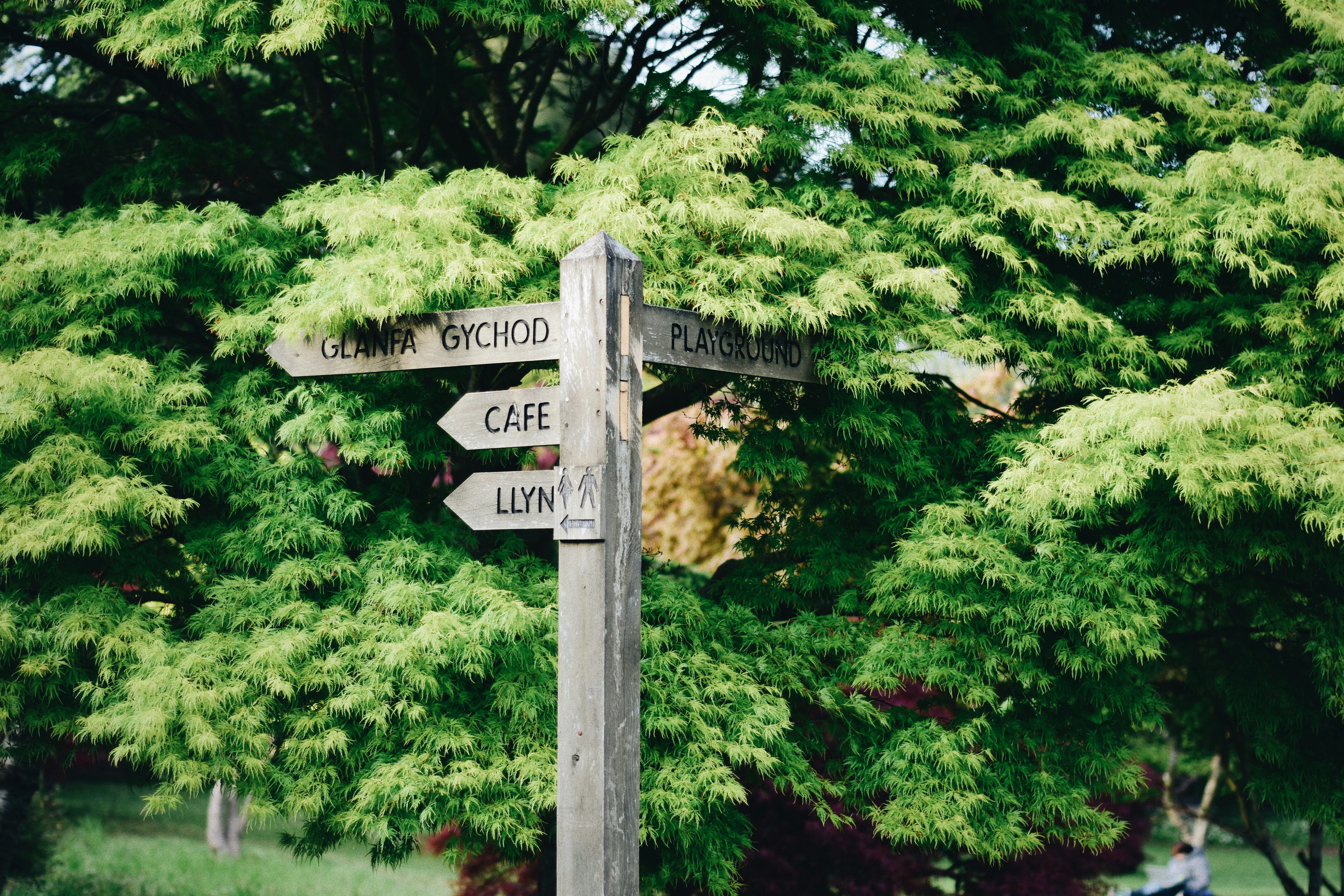 A street sign pointing in different directions in a park photo – Free ...