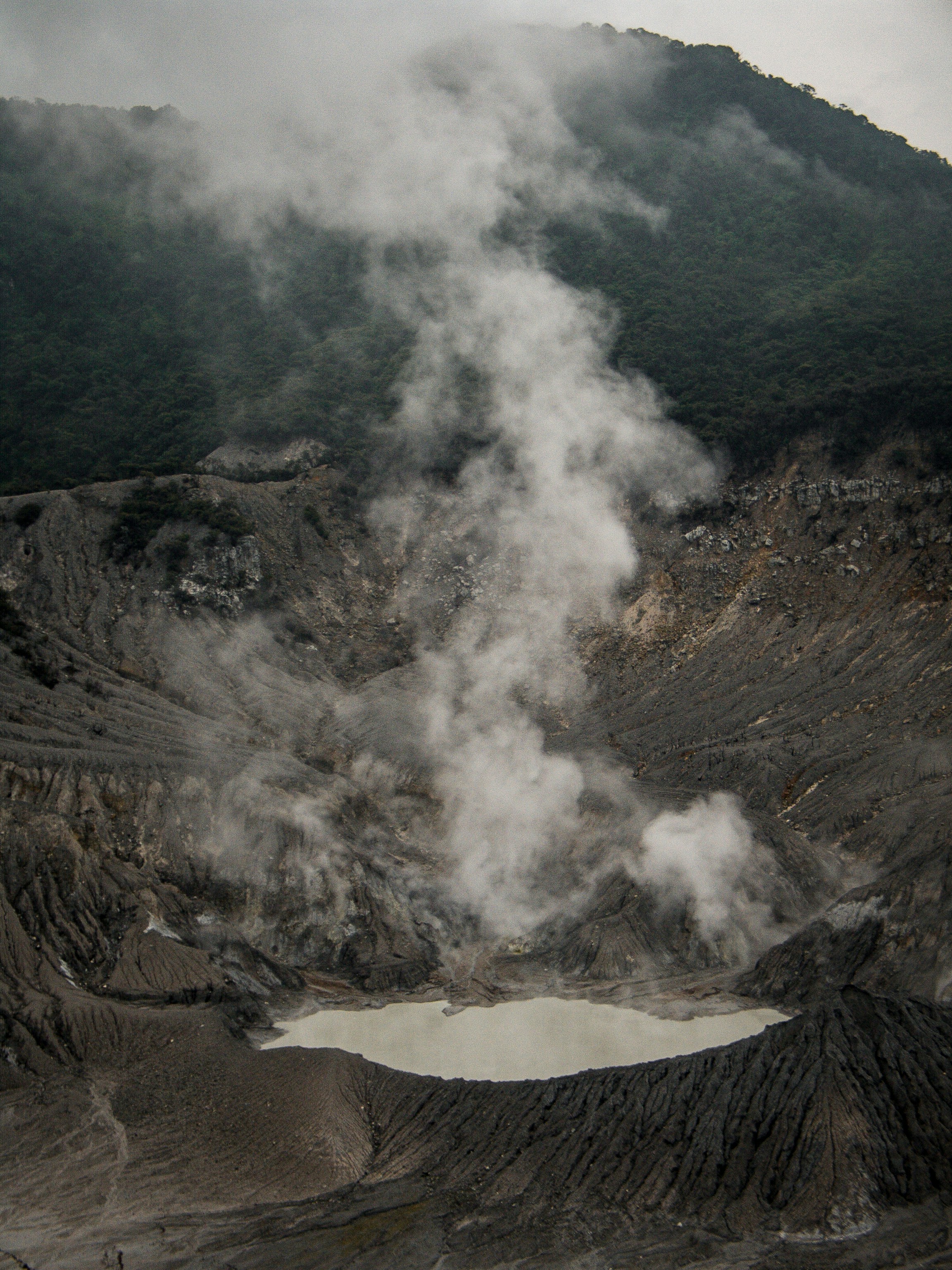 Steam billows from a volcanic crater surrounded by rugged terrain and dense foliage. The contrasting colors of the earth and steam create a dramatic atmosphere.