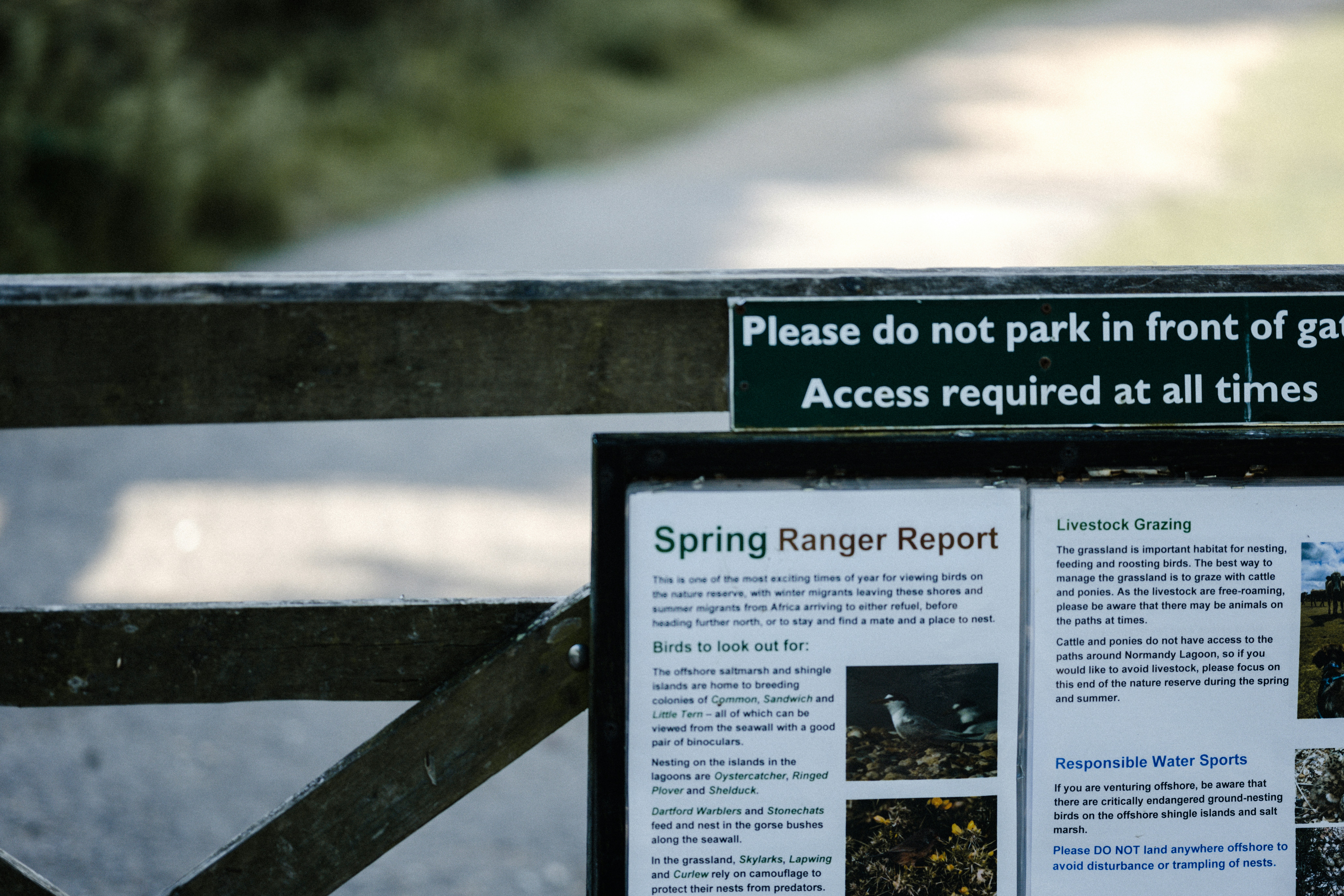 Gatekeeper Notes: A Trail Entrance Framed in Signage and Wood