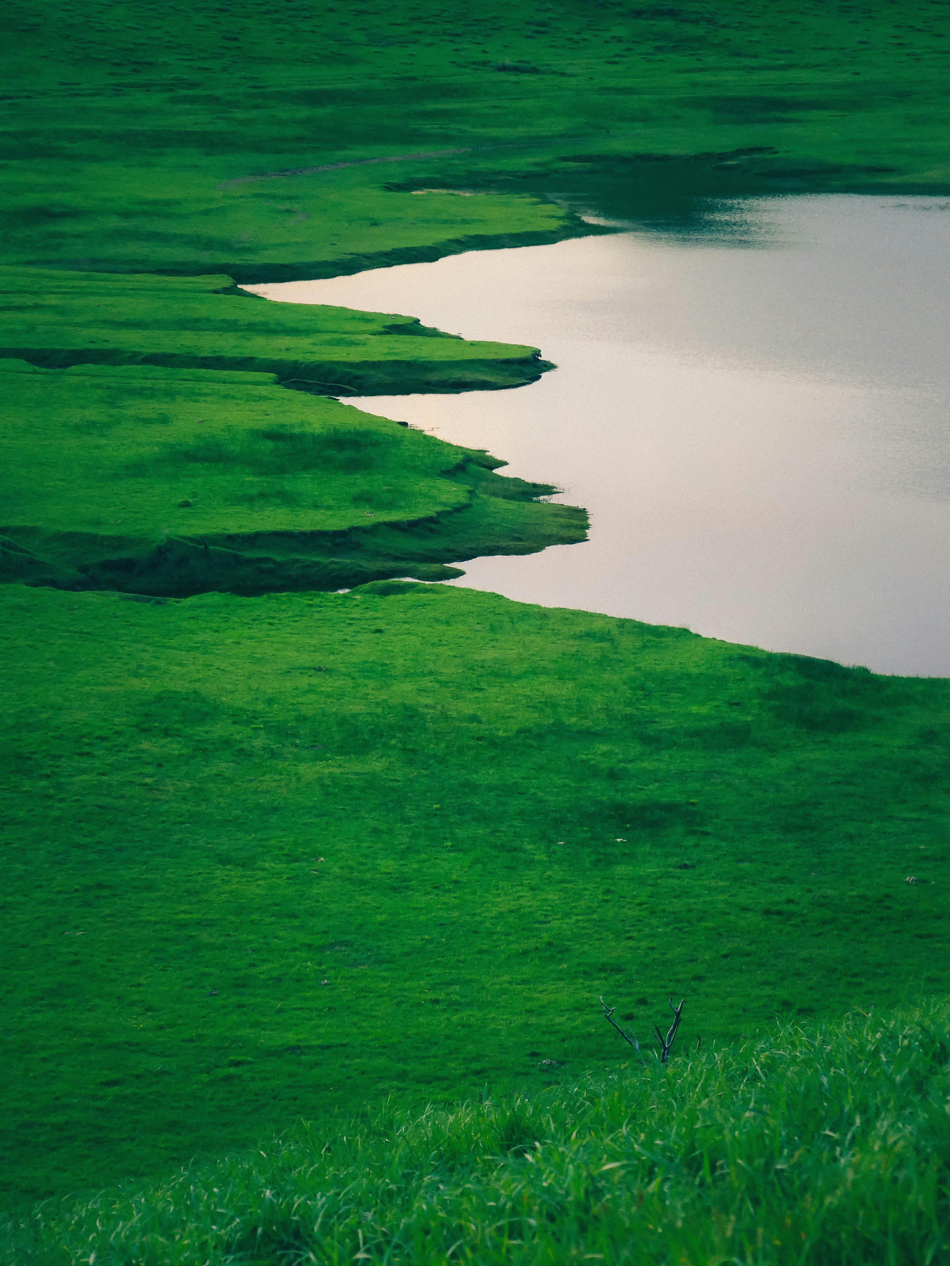 Lush green landscape meets tranquil water's edge, showcasing the harmony of nature's colors and textures.