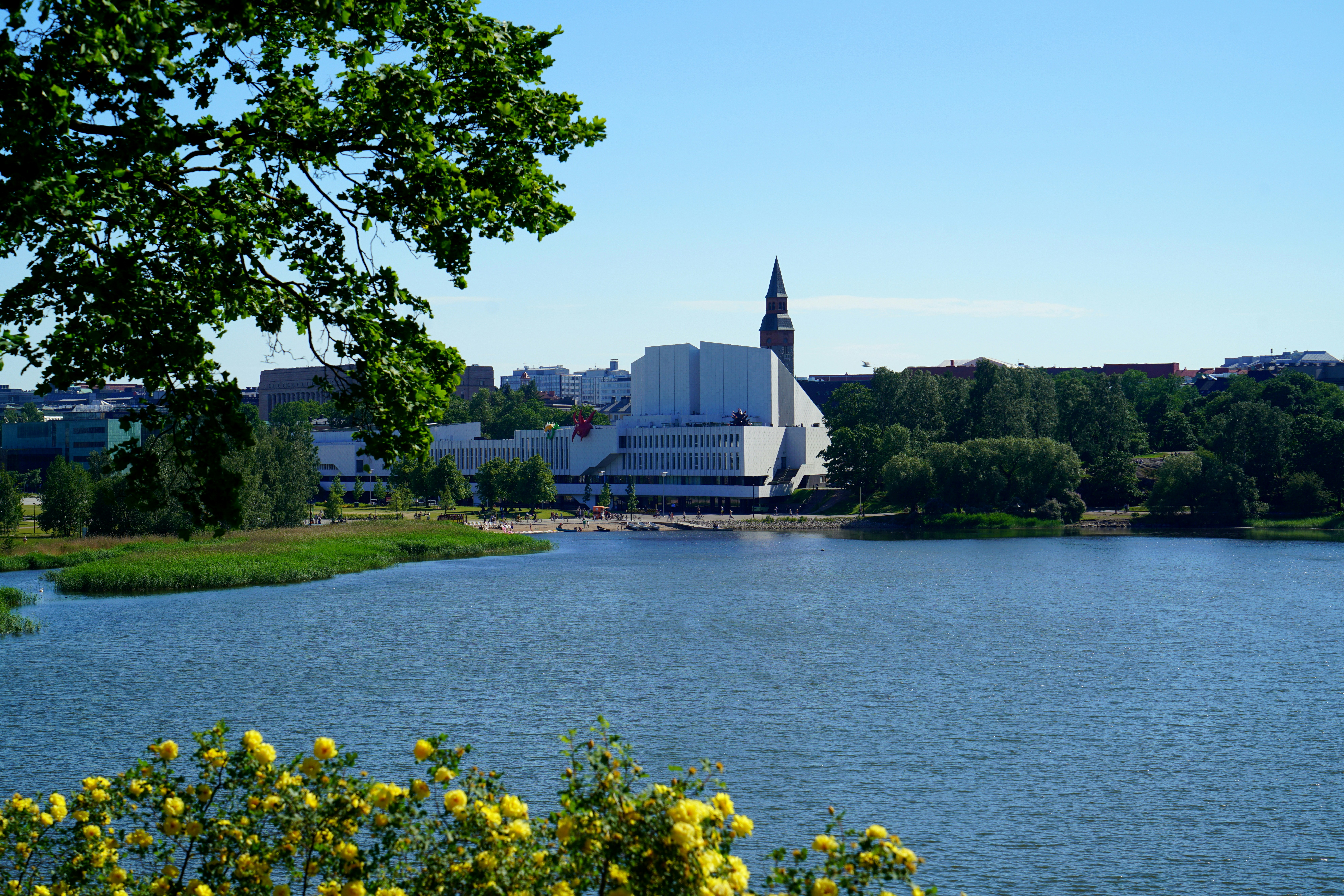Yellow flowers foreground a view of Finlandia Hall and the National Museum tower across Töölönlahti Bay on a sunny day.