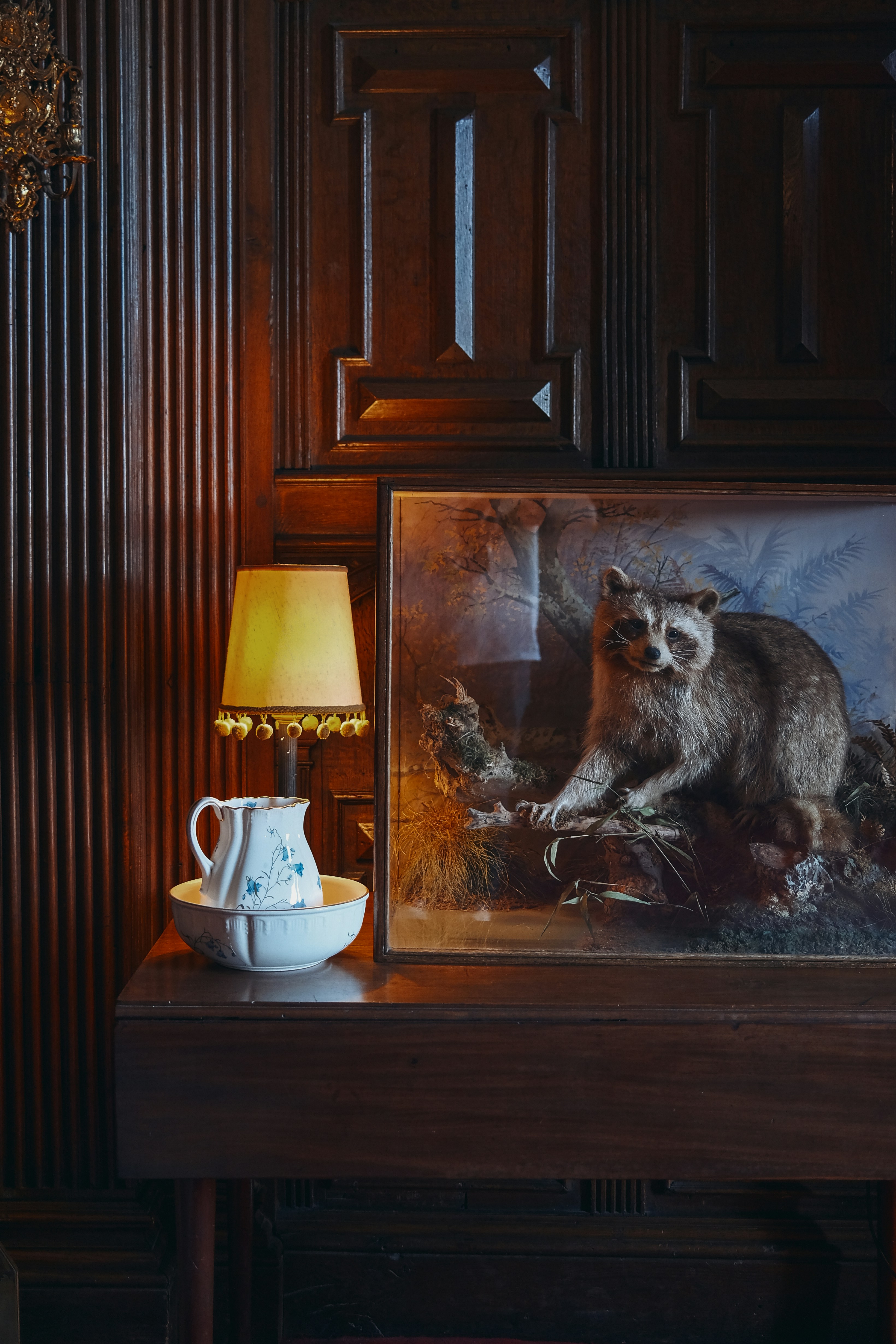 Chat gris et blanc sur table en bois marron photo – Photo Animal ...