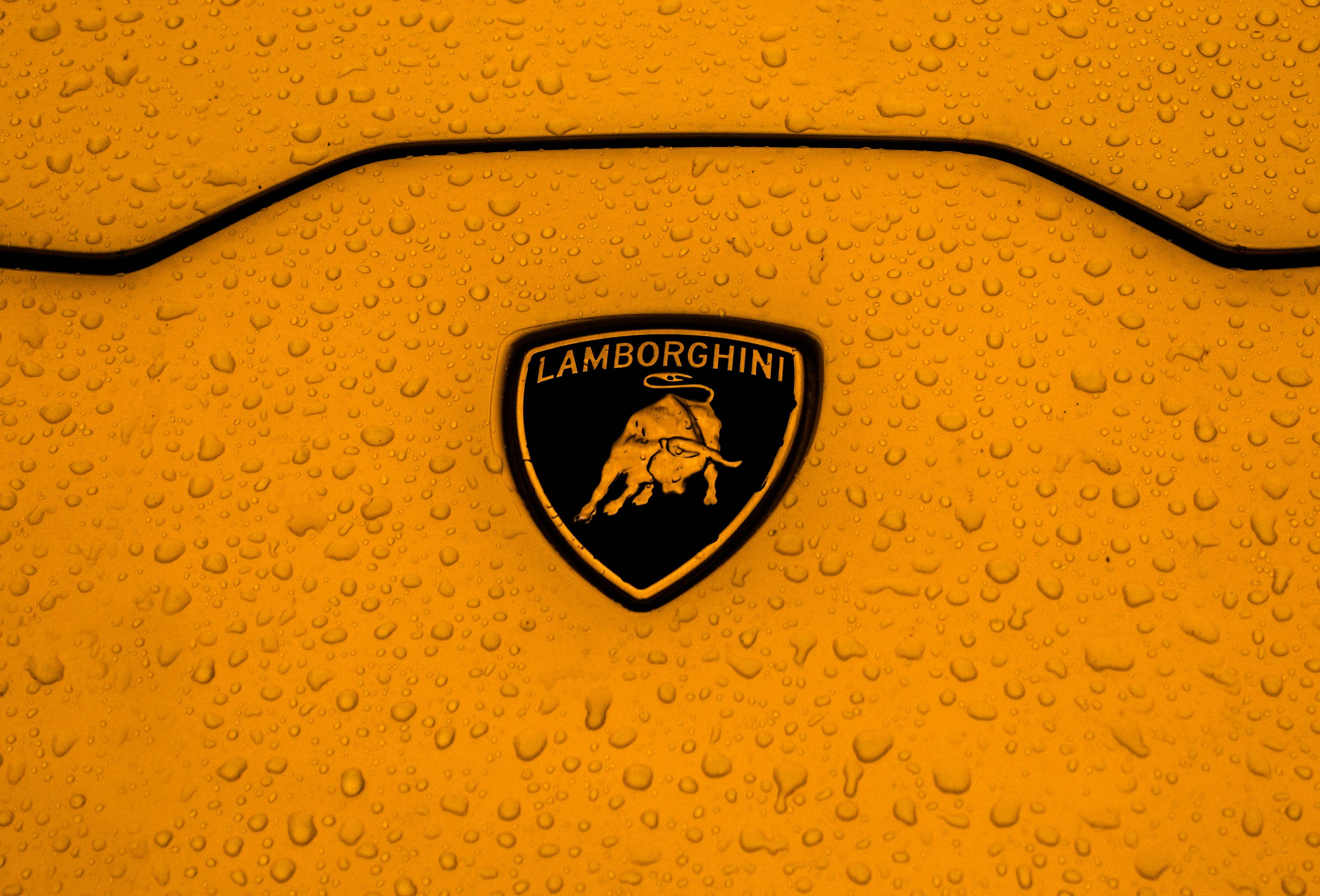 Close-up of a Lamborghini emblem adorned with raindrops on a vibrant yellow surface.