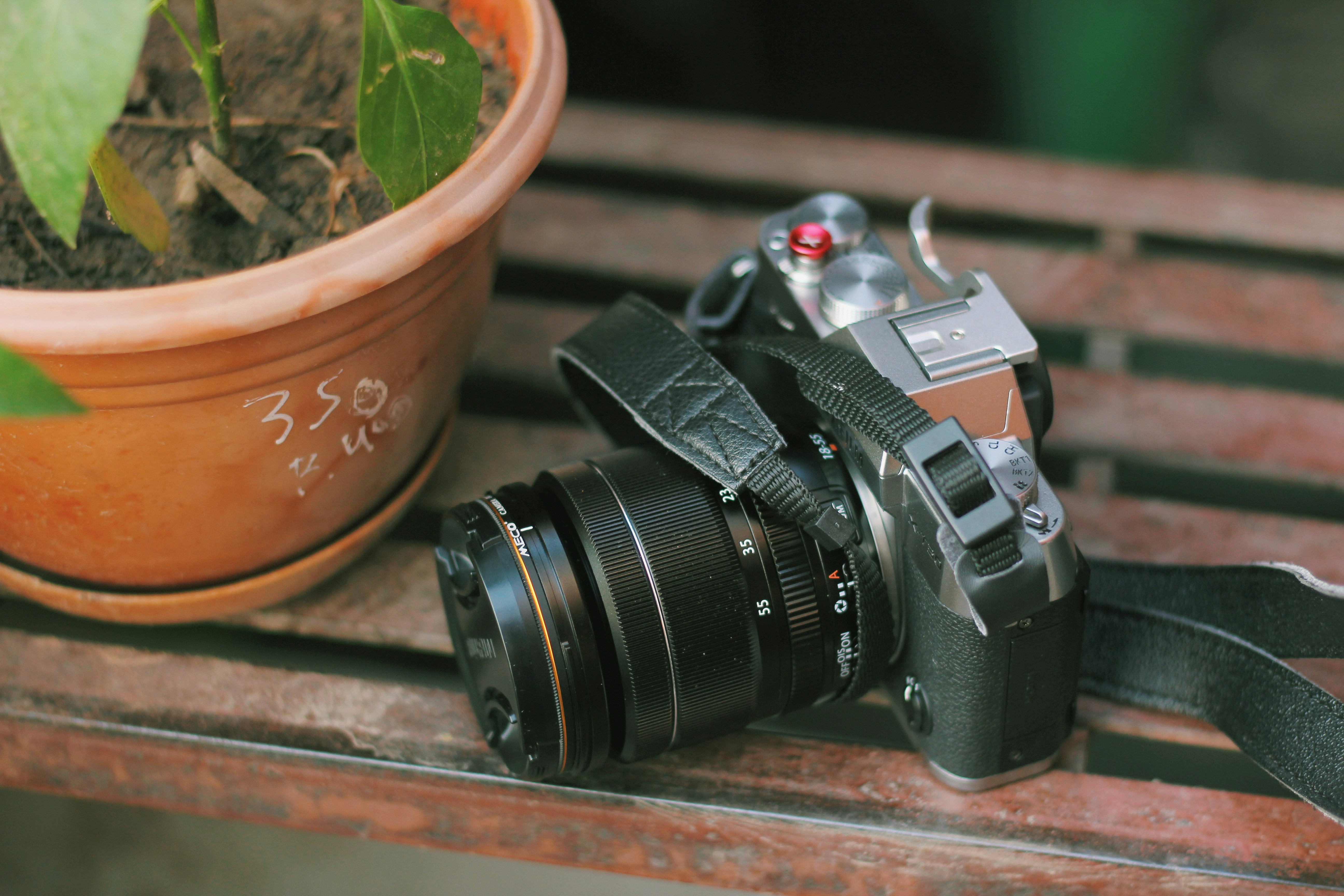 Benchside Focus: A Canon Camera and Its Lens by a Potted Plant