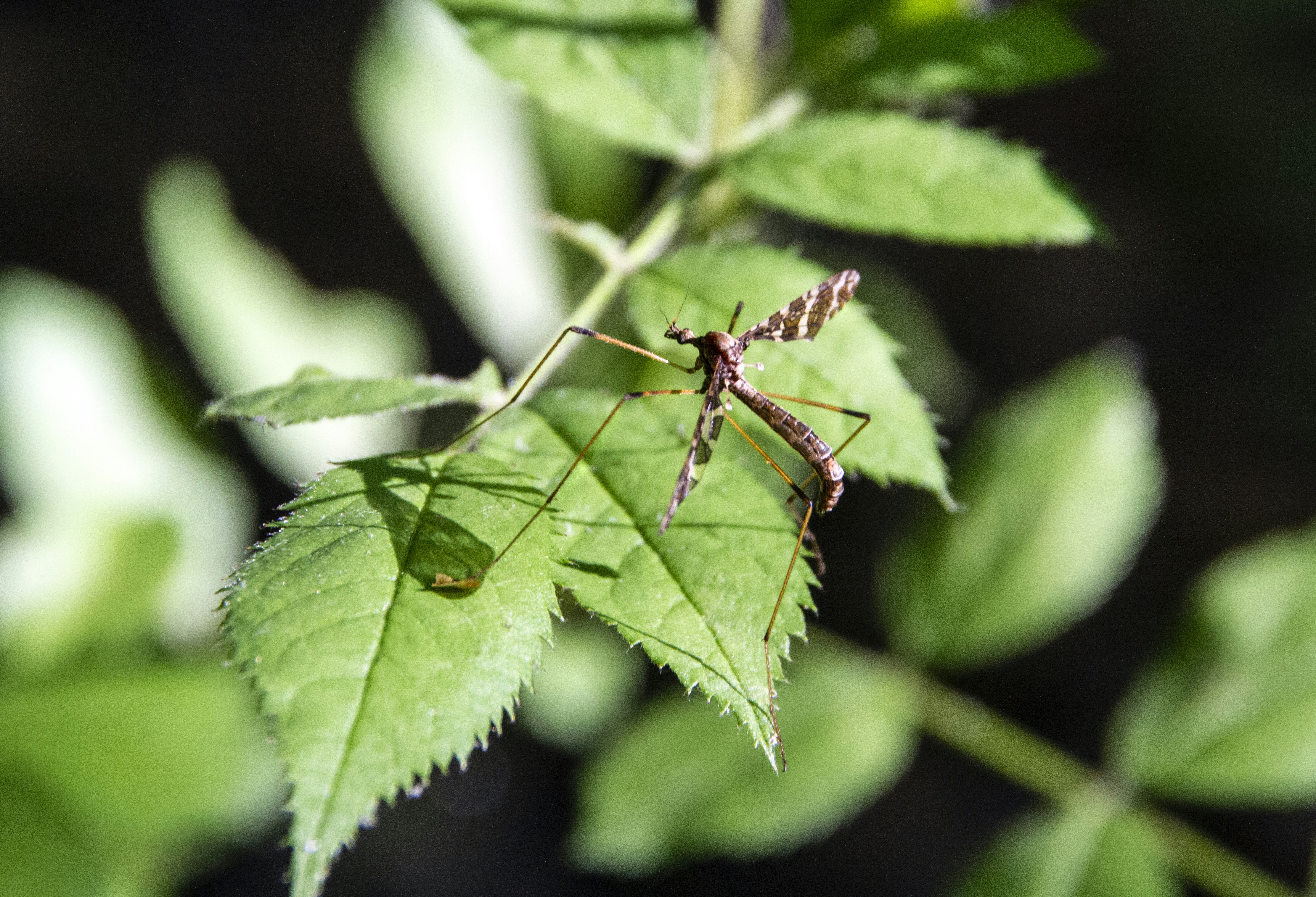 Crystal Butler (@crystal_butler) | Unsplash Photo Community