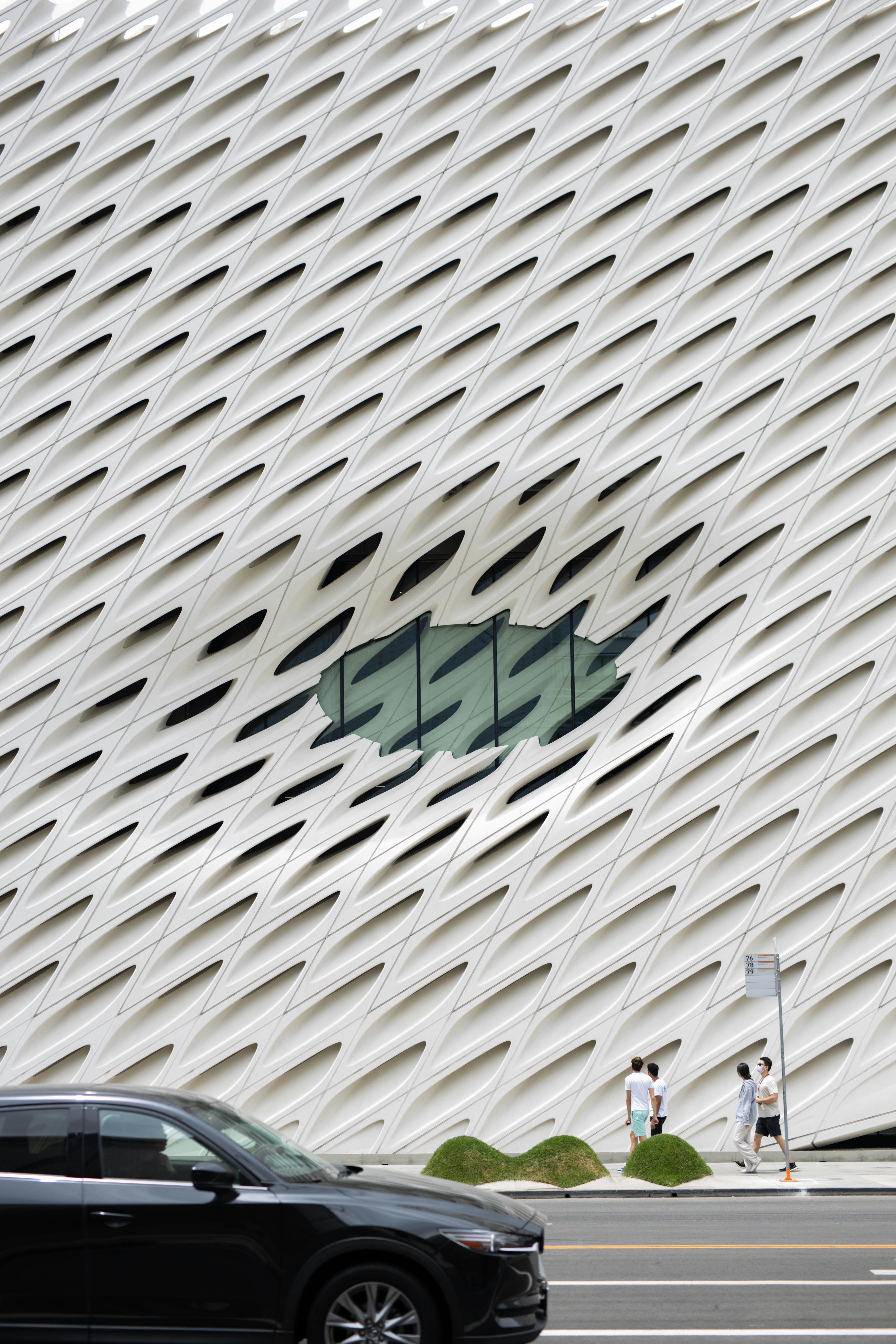 Photo by Joseph Menjivar with Canon EOS R