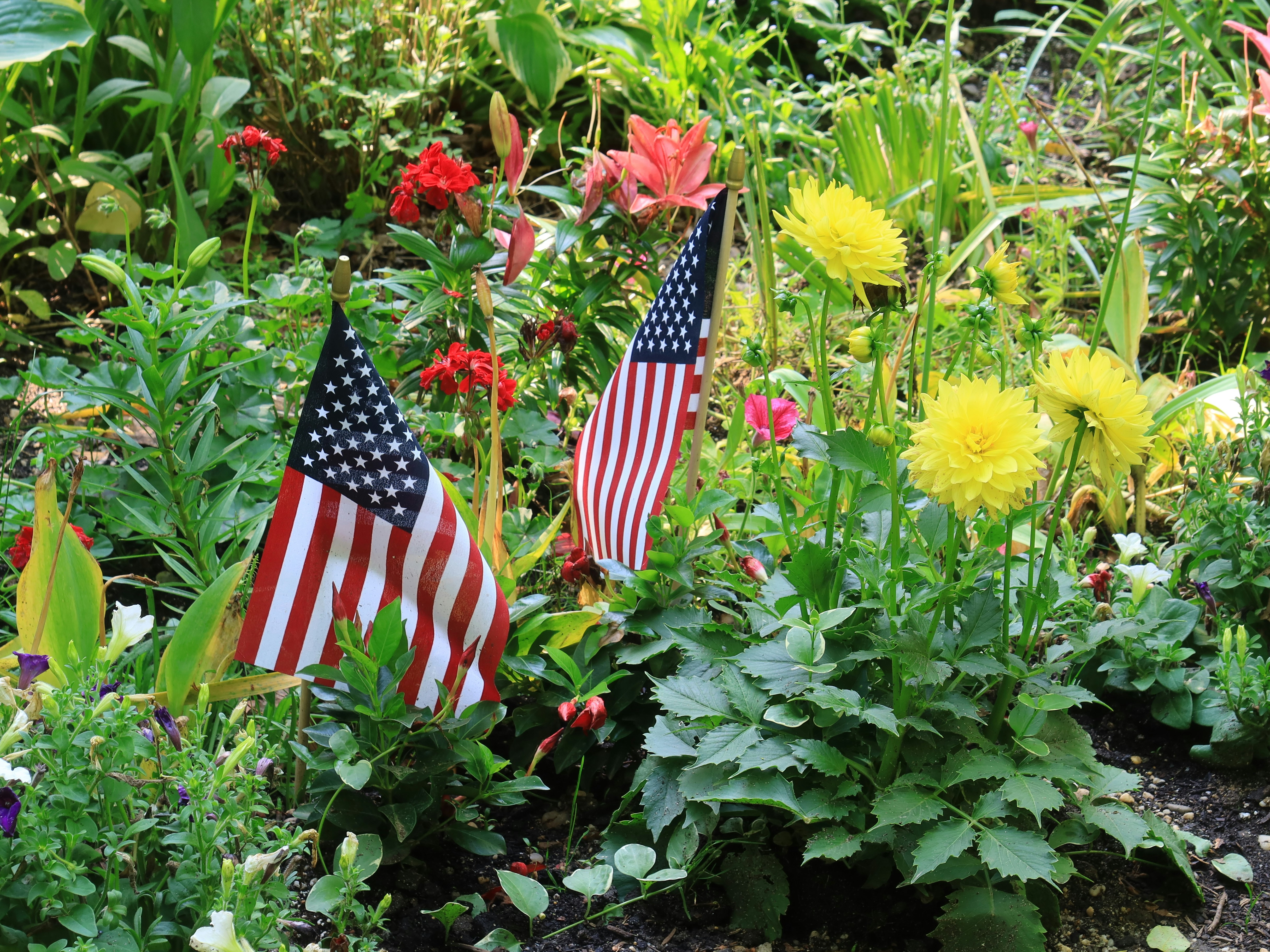 Vibrant garden featuring colorful flowers alongside small American flags, symbolizing a celebration of patriotism and nature's beauty.